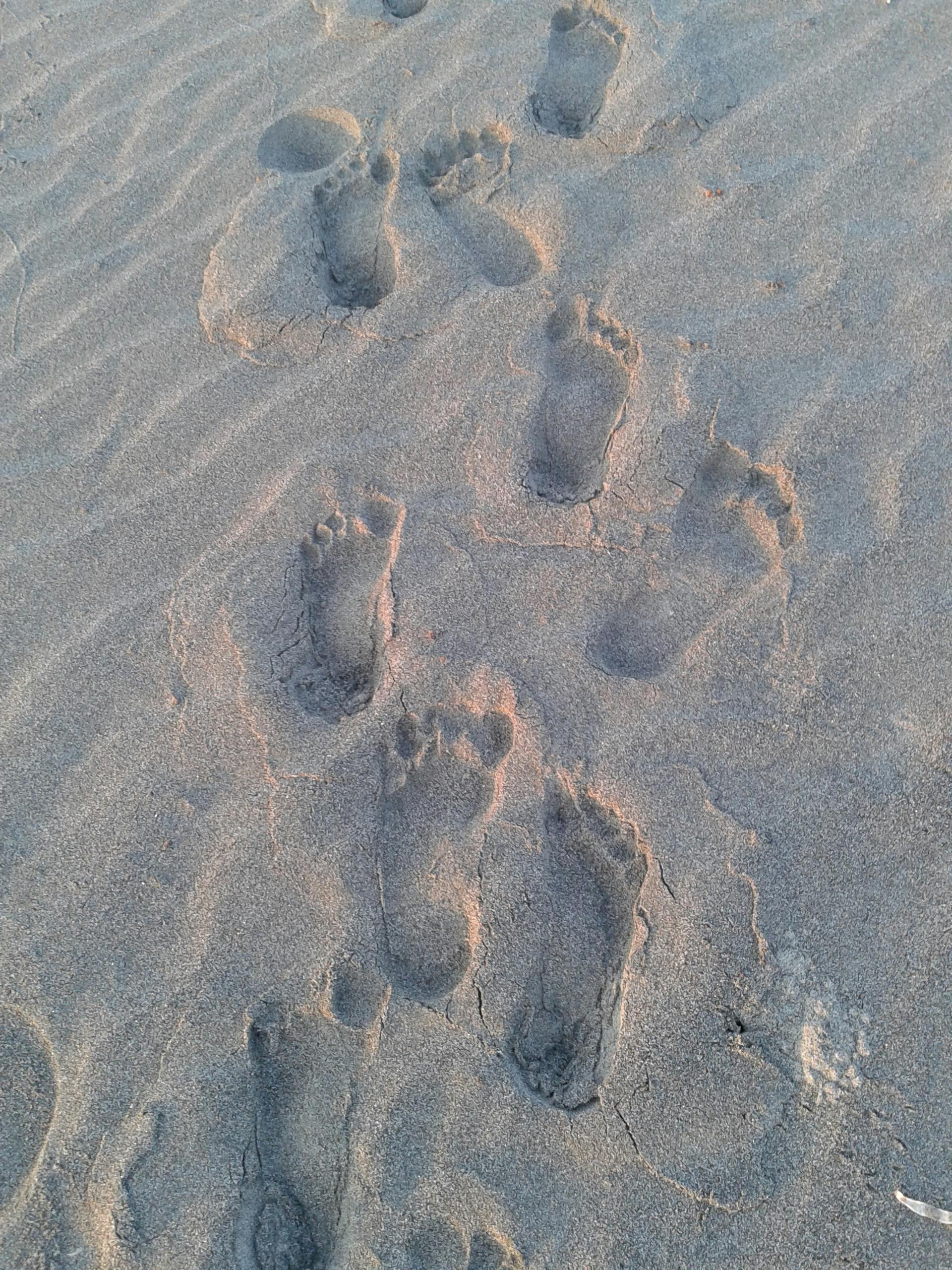 Close-up of Footprints in the Sand · Free Stock Photo