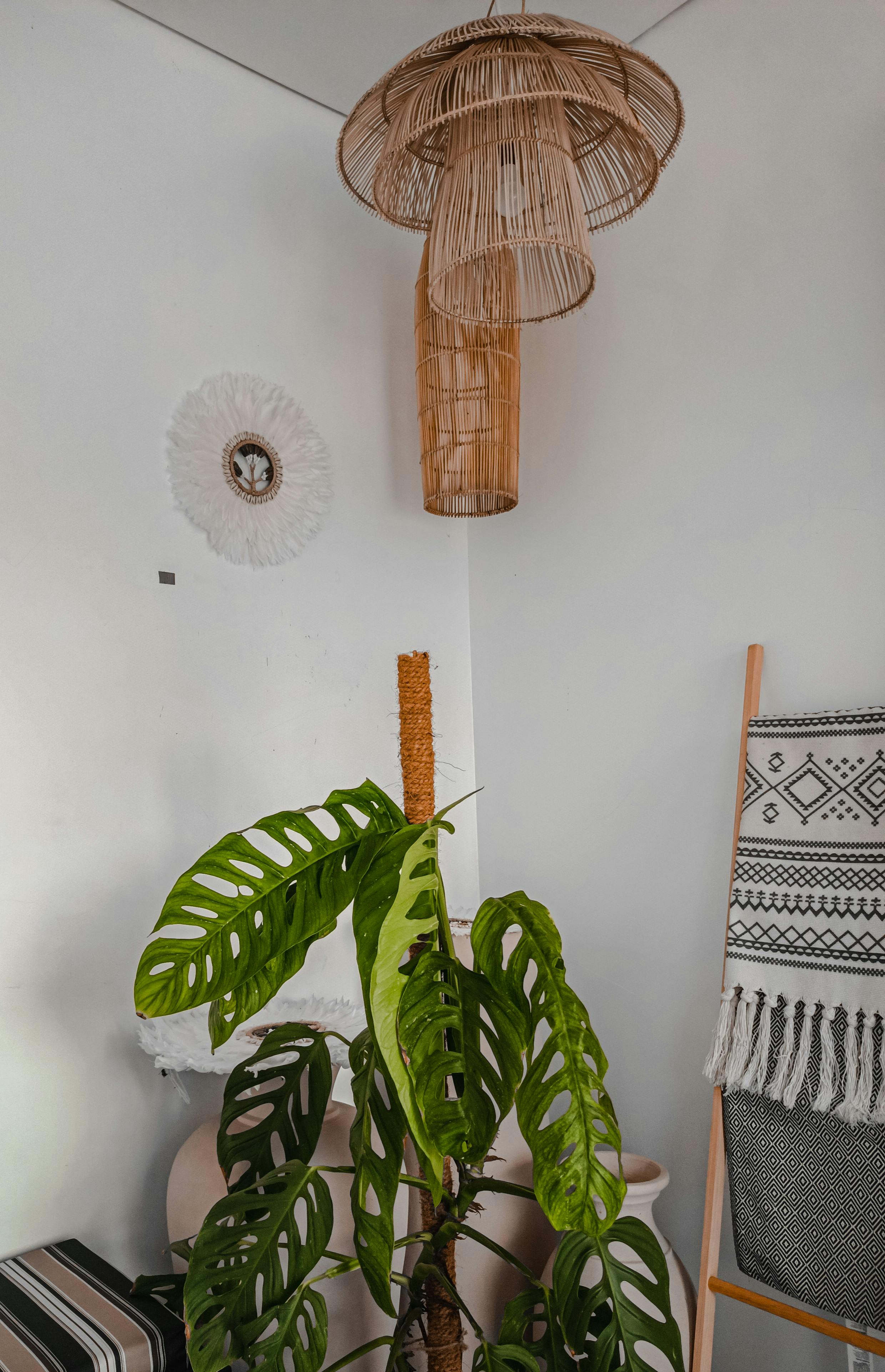 Droing Room Photos, Download The BEST Free Droing Room Stock Photos ...