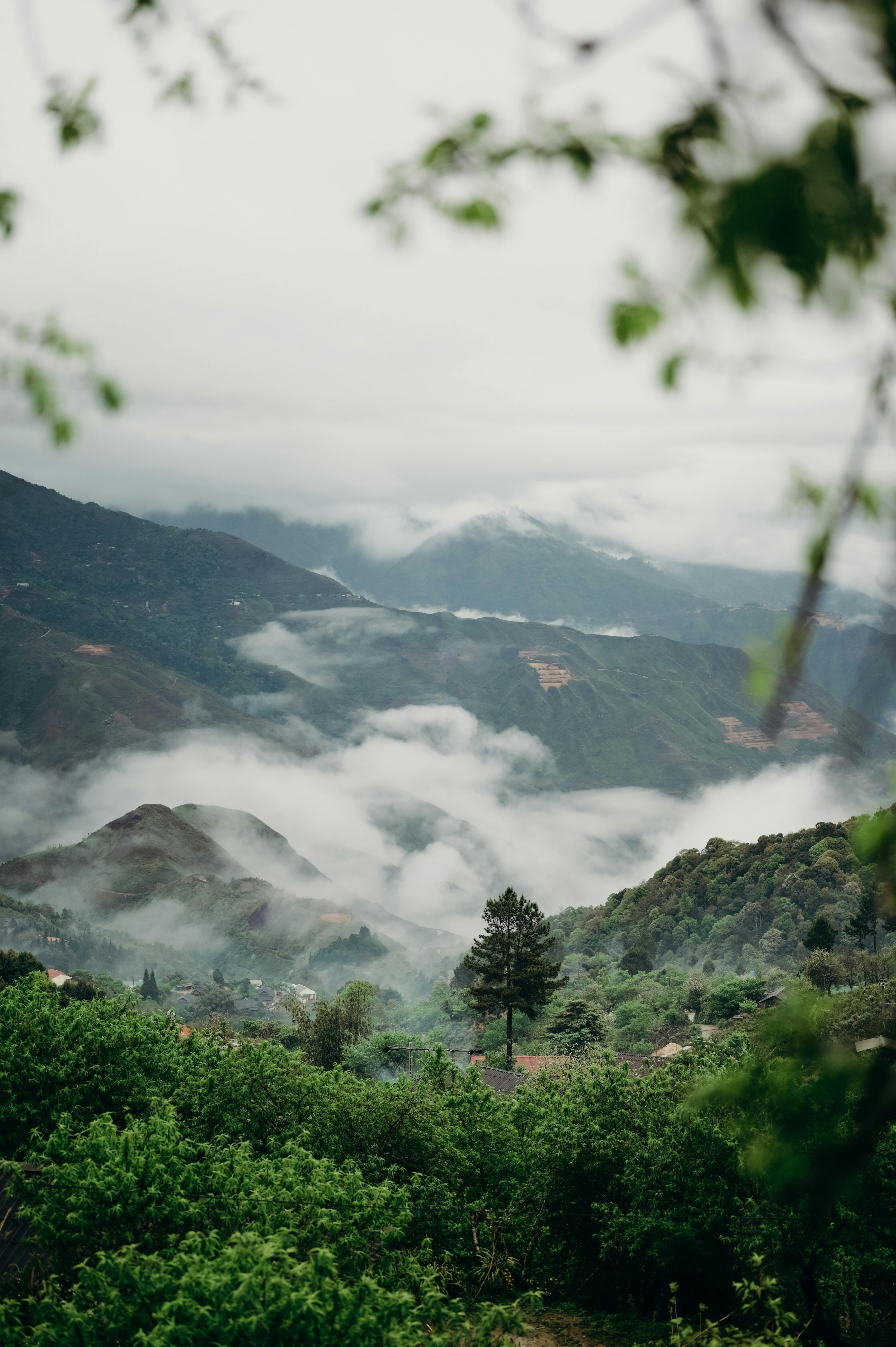 Green Trees Beside Mountains With Fogs during Daytime · Free Stock Photo