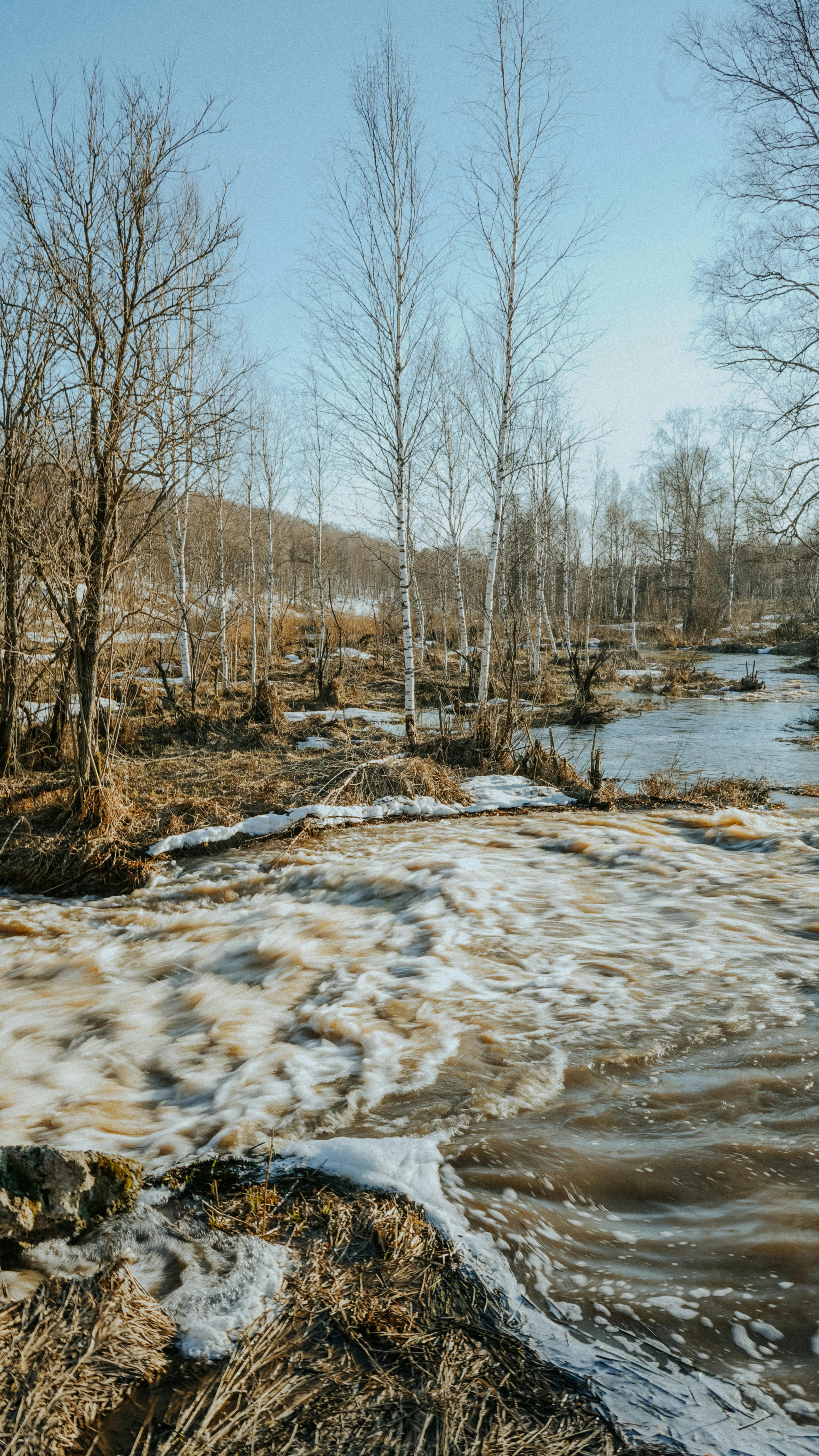 River at Snowy Day Photo · Free Stock Photo