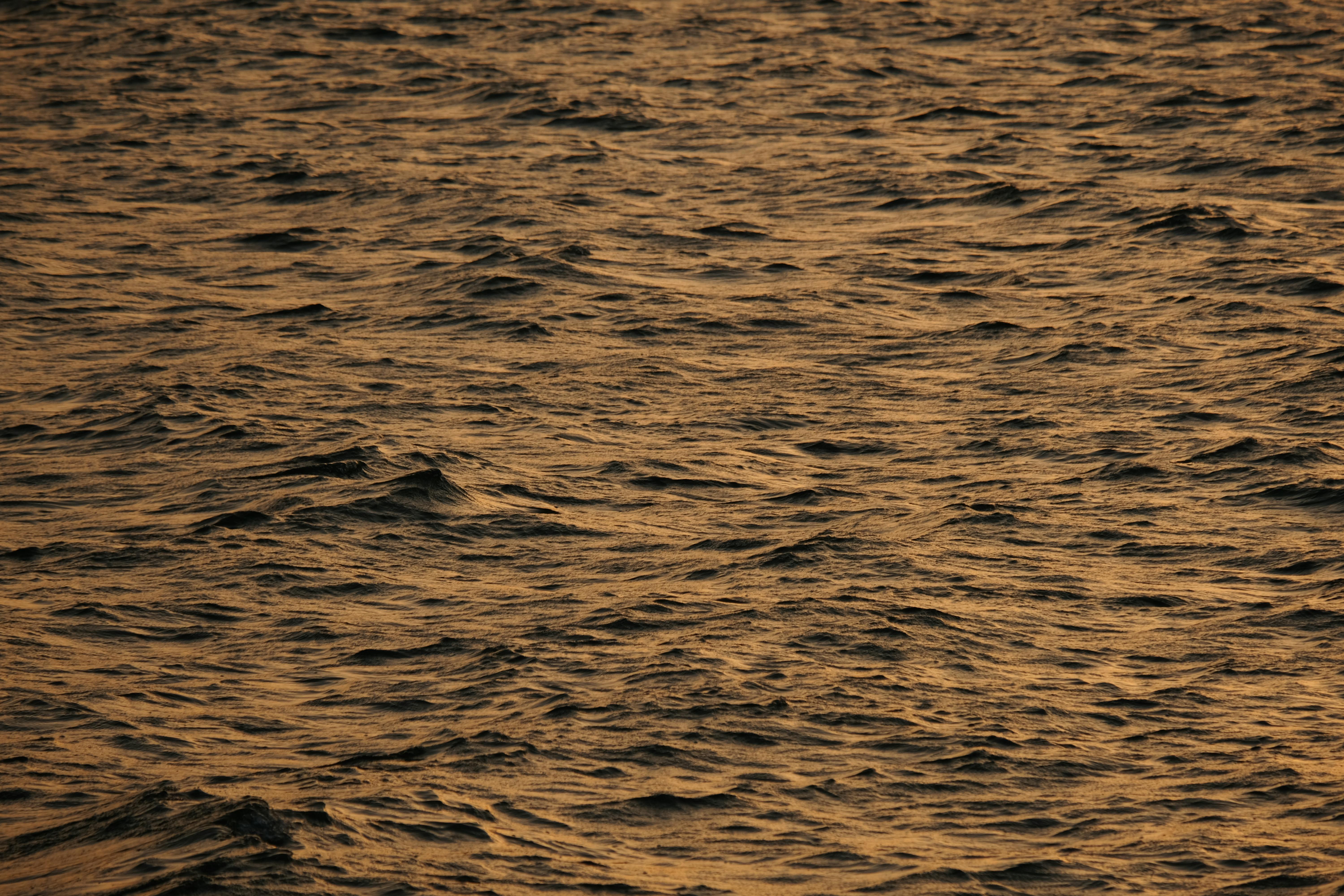 Ripples in Sea · Free Stock Photo