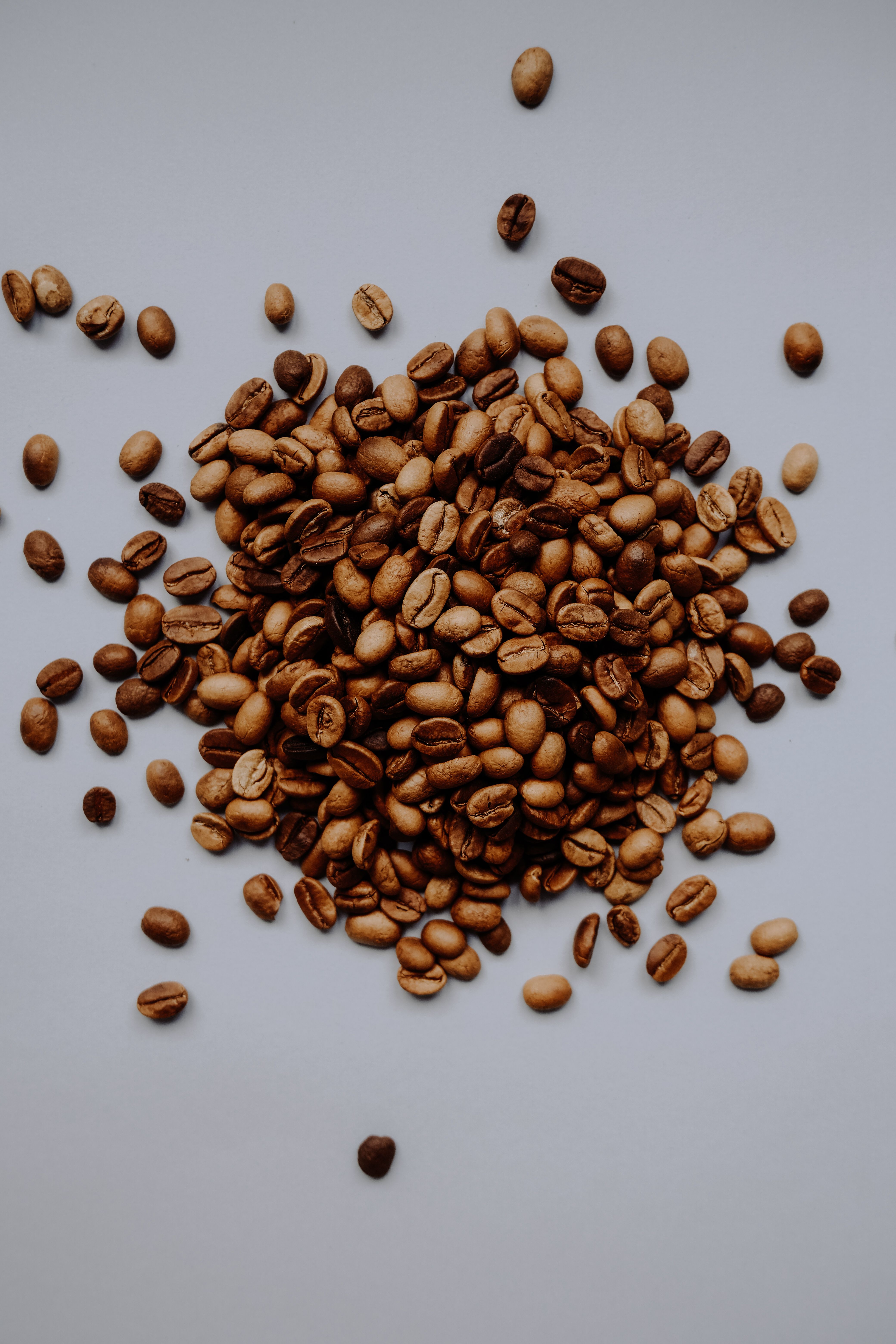 Brown Coffee Beans · Free Stock Photo