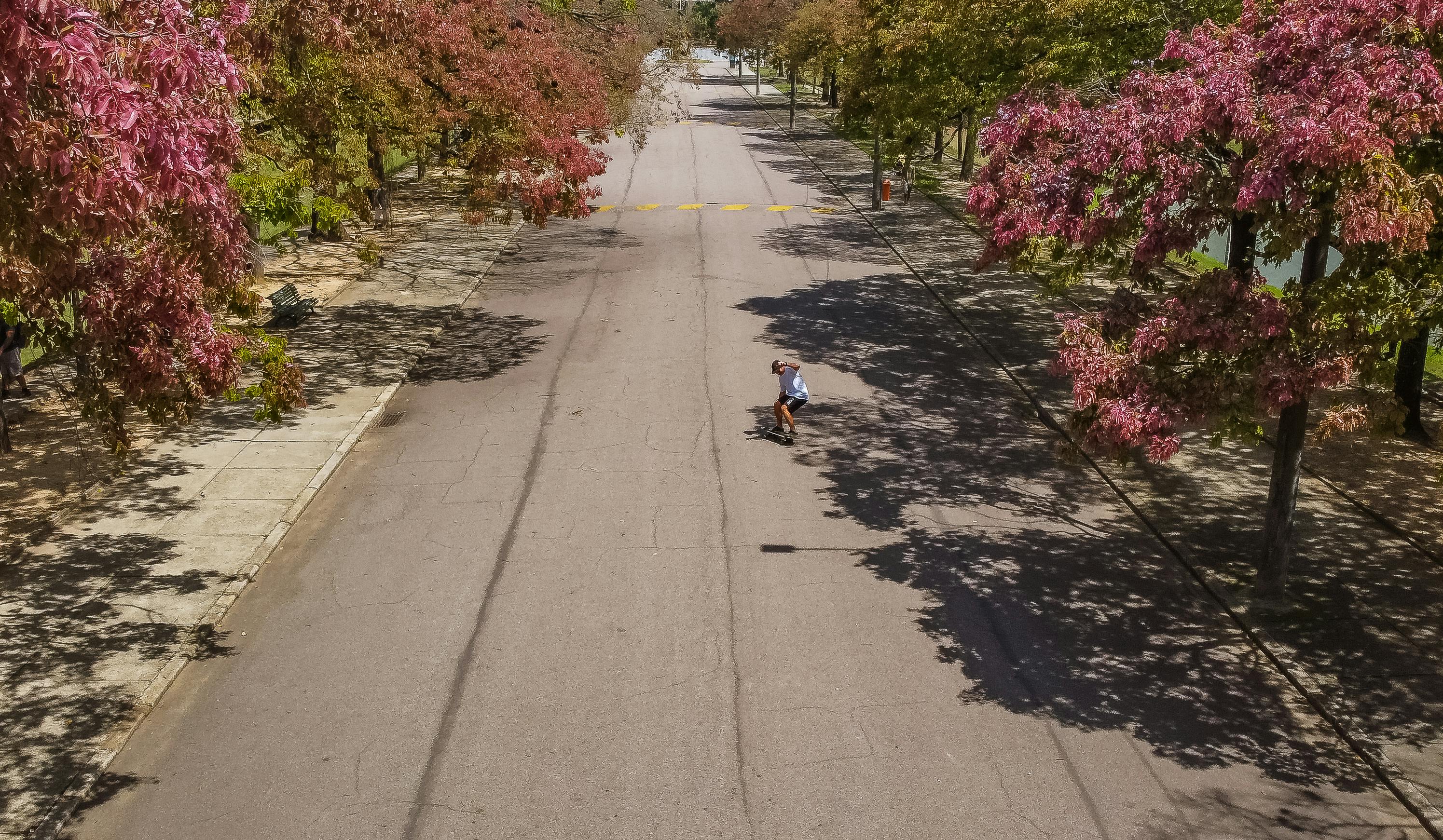 Rabbit Road Photos, Download The BEST Free Rabbit Road Stock Photos ...