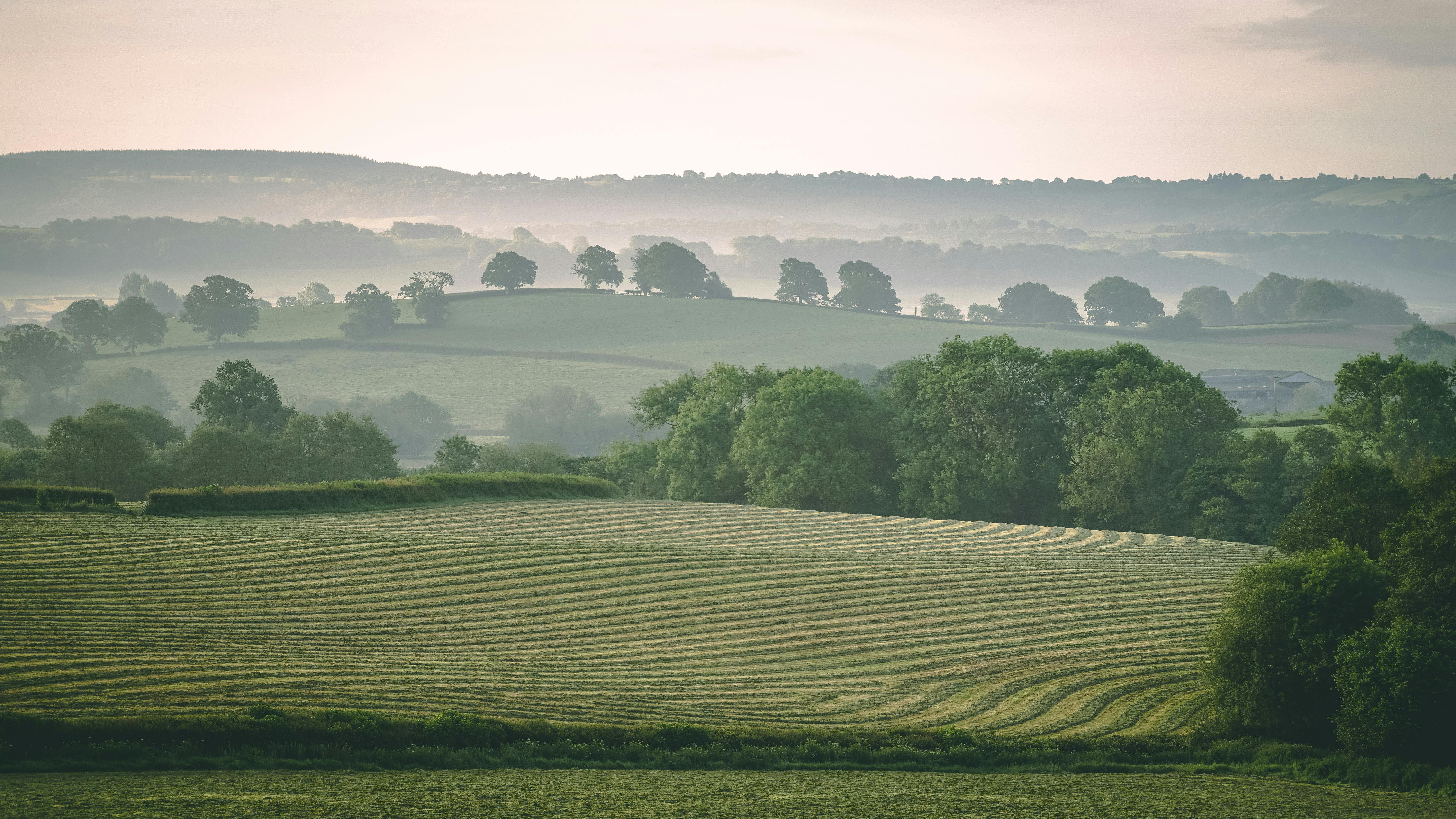 Green Field on Plains · Free Stock Photo
