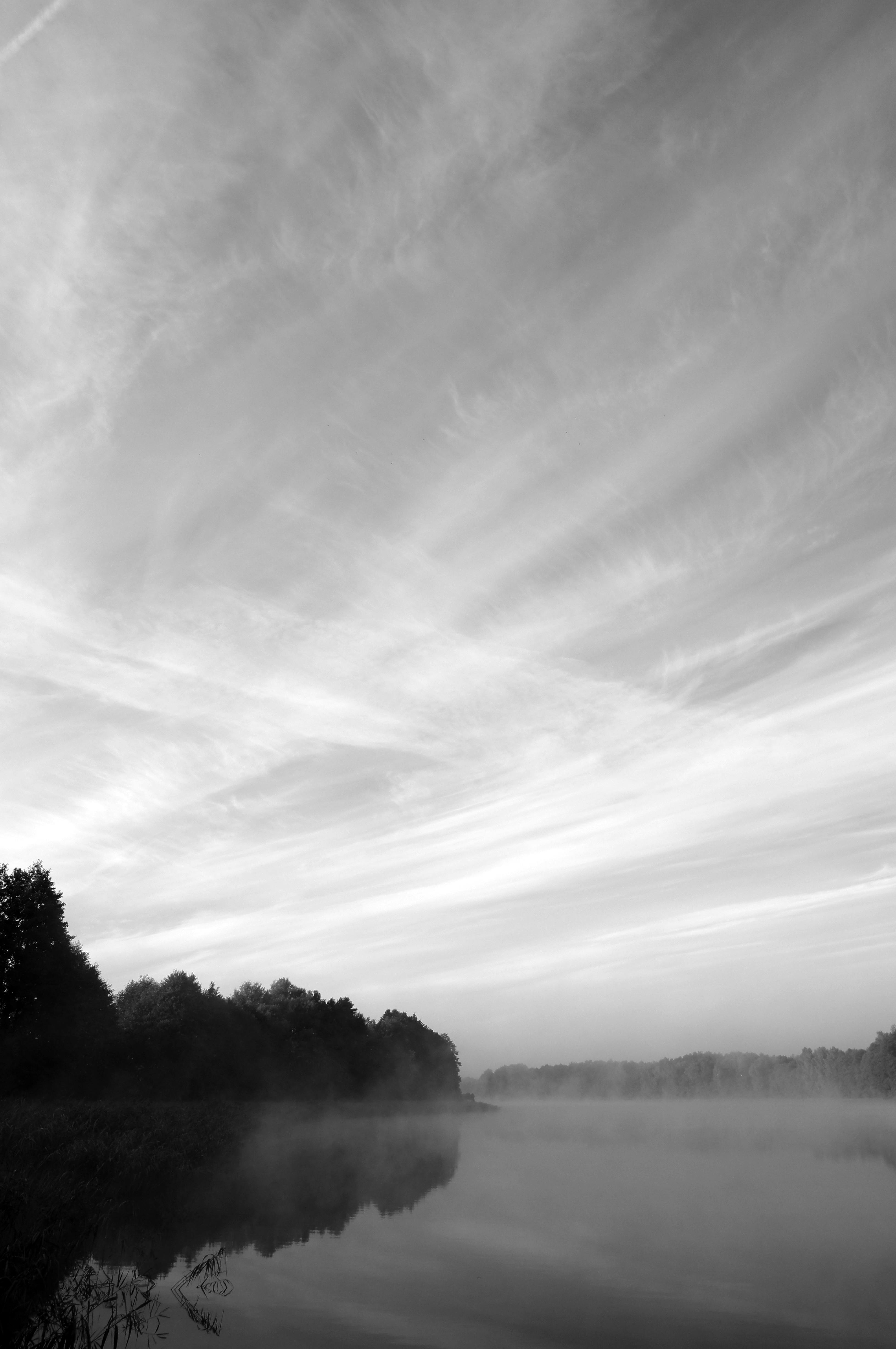 Bobber Photos, Download The BEST Free Bobber Stock Photos & HD Images