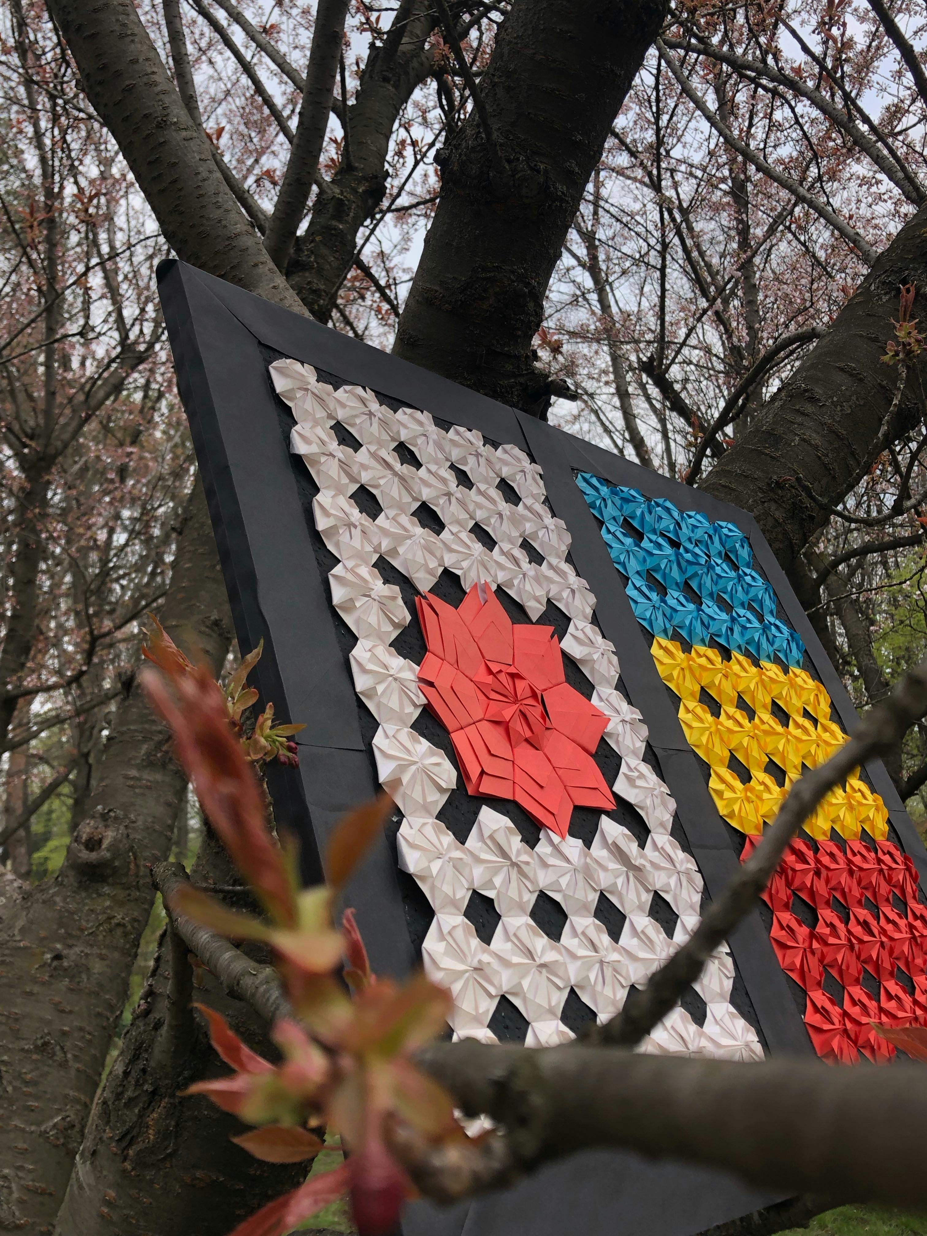 Albert Roman – Fotografie