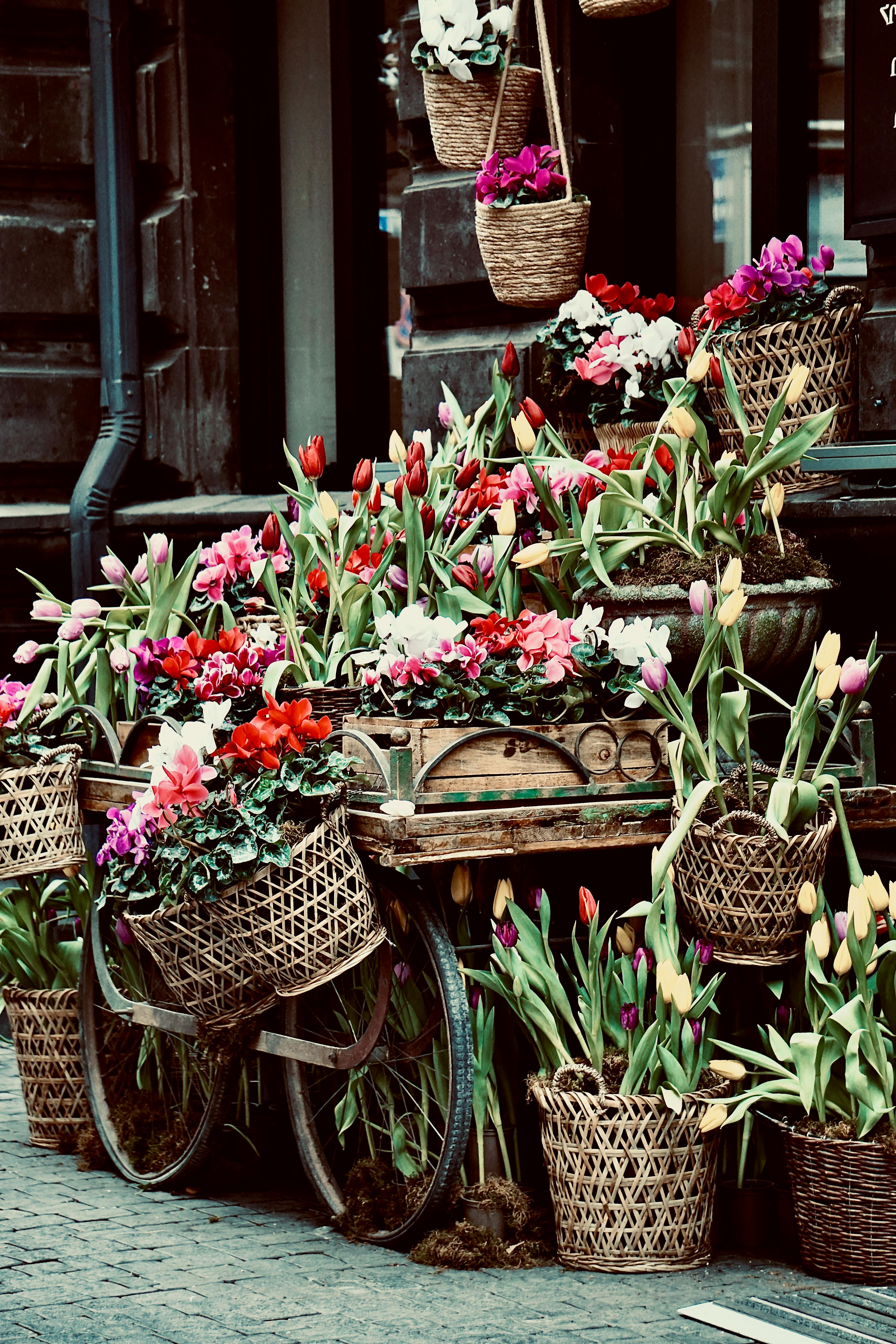 Street Florist Stall · Free Stock Photo