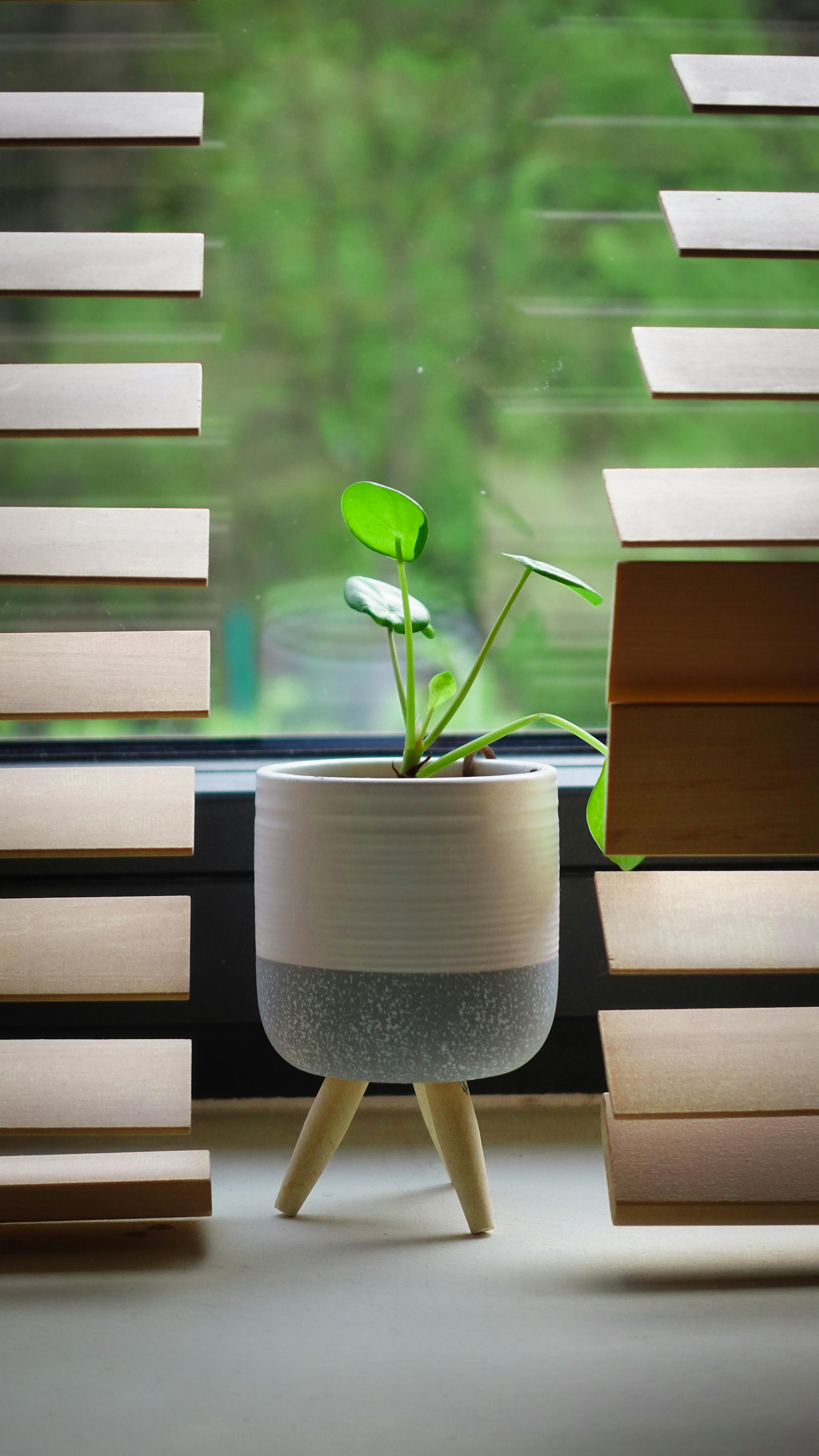 Interior Room Photos, Download The BEST Free Interior Room Stock Photos ...