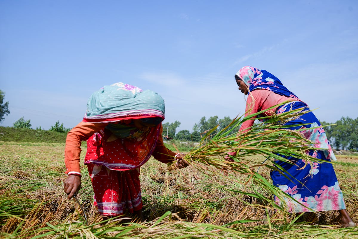 Women Work Photos, Download The BEST Free Women Work Stock Photos & HD ...