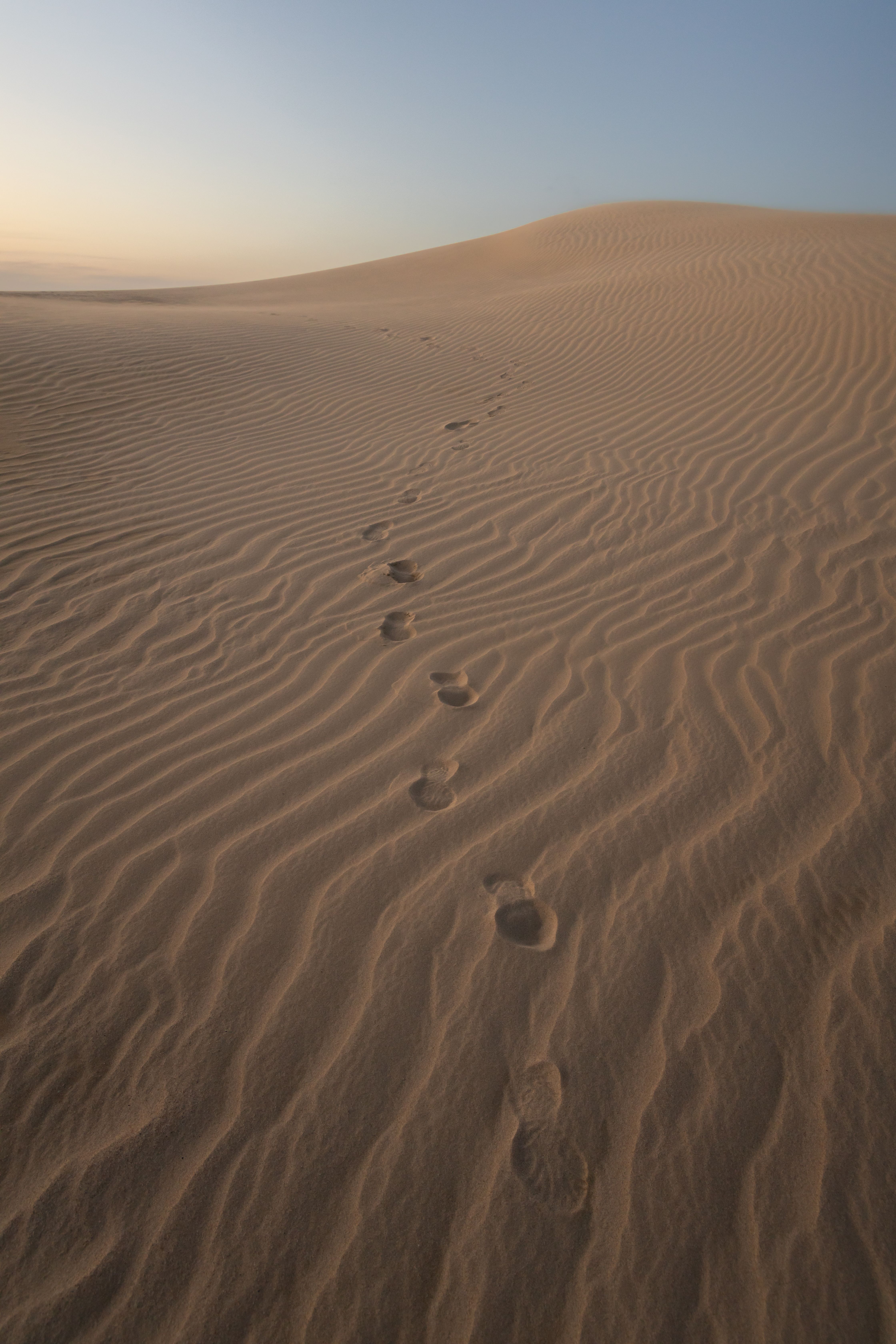 Footprints on Desert · Free Stock Photo