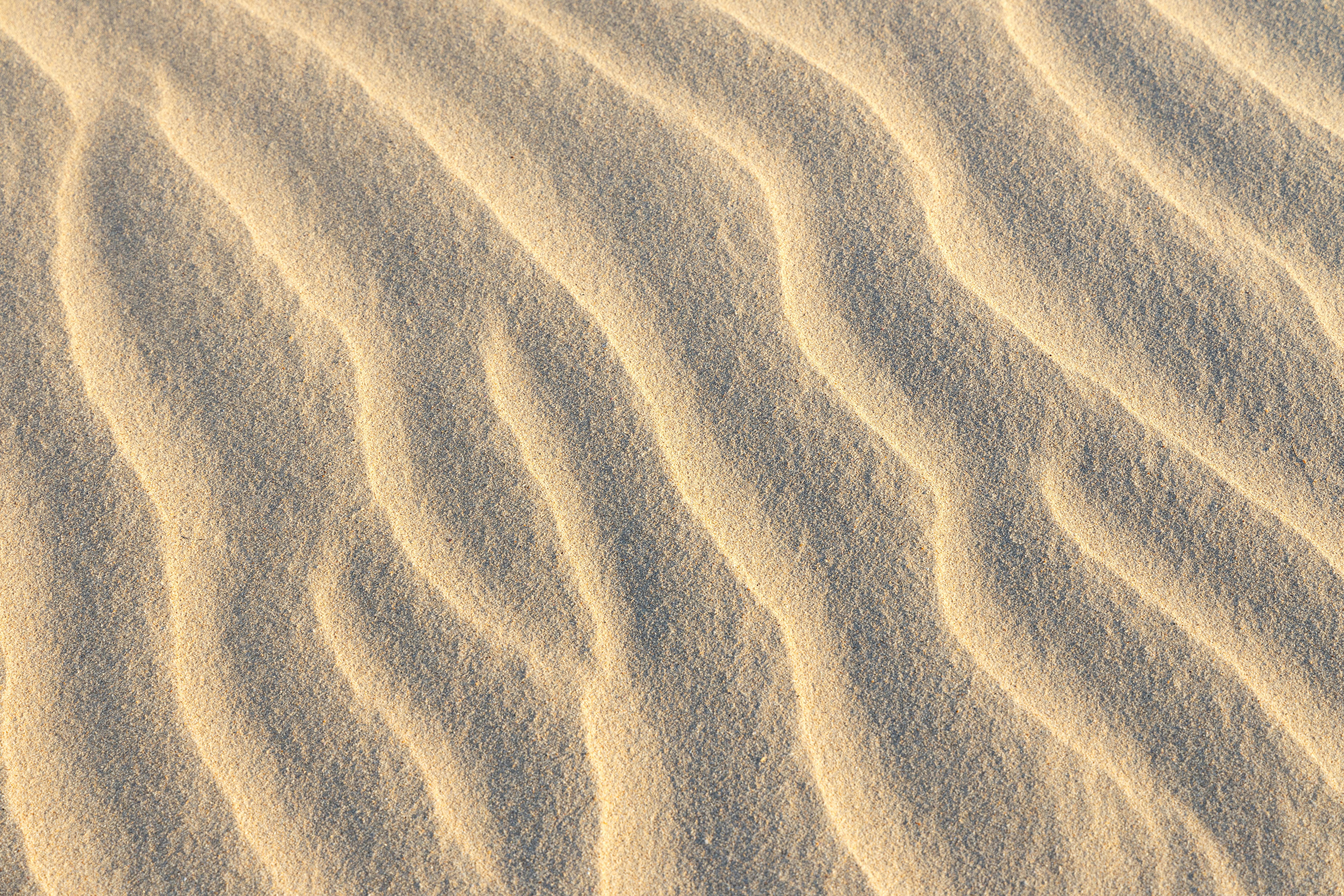 Close-up of the Sand Surface of a Desert · Free Stock Photo