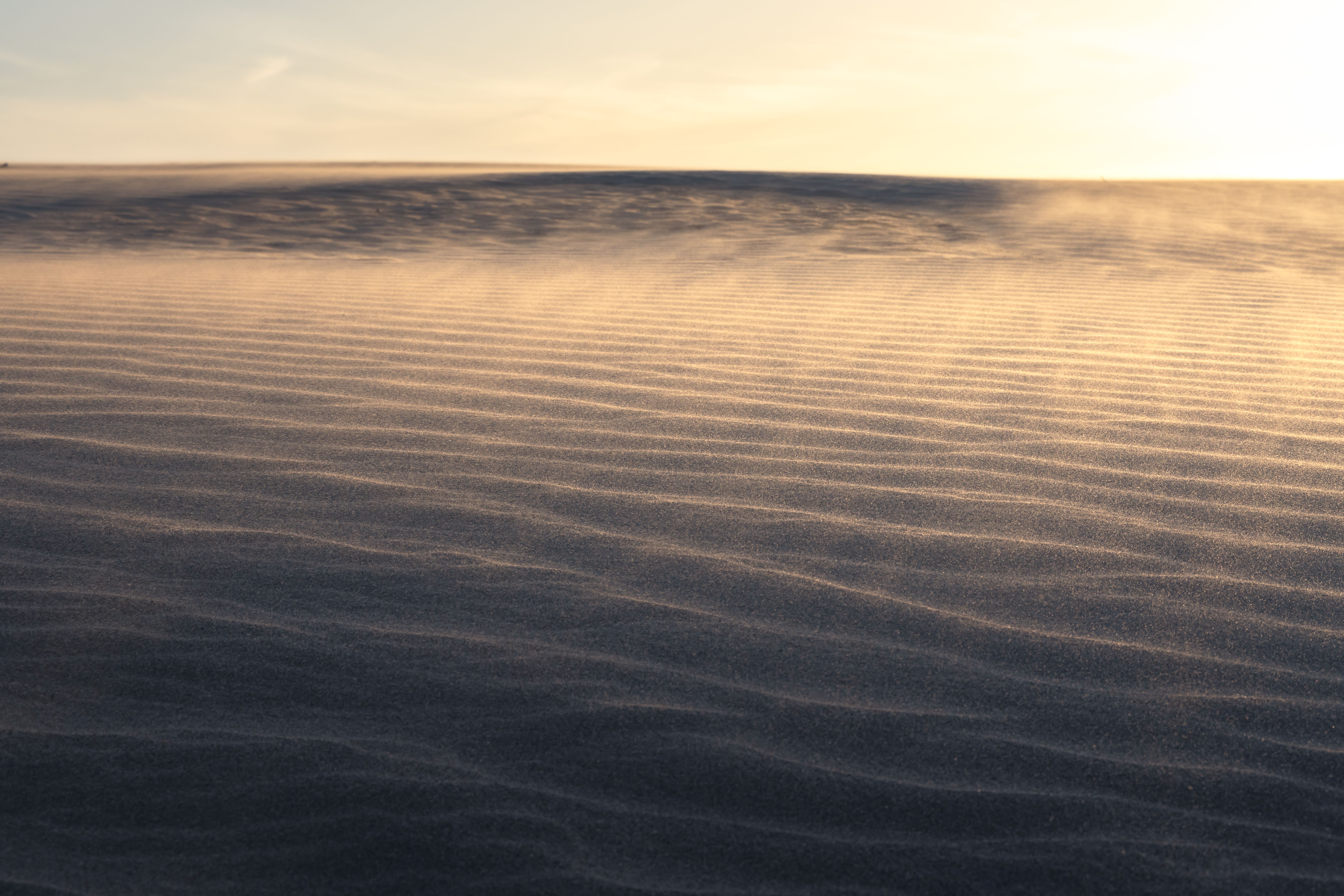 Desert Landscape at Dawn · Free Stock Photo