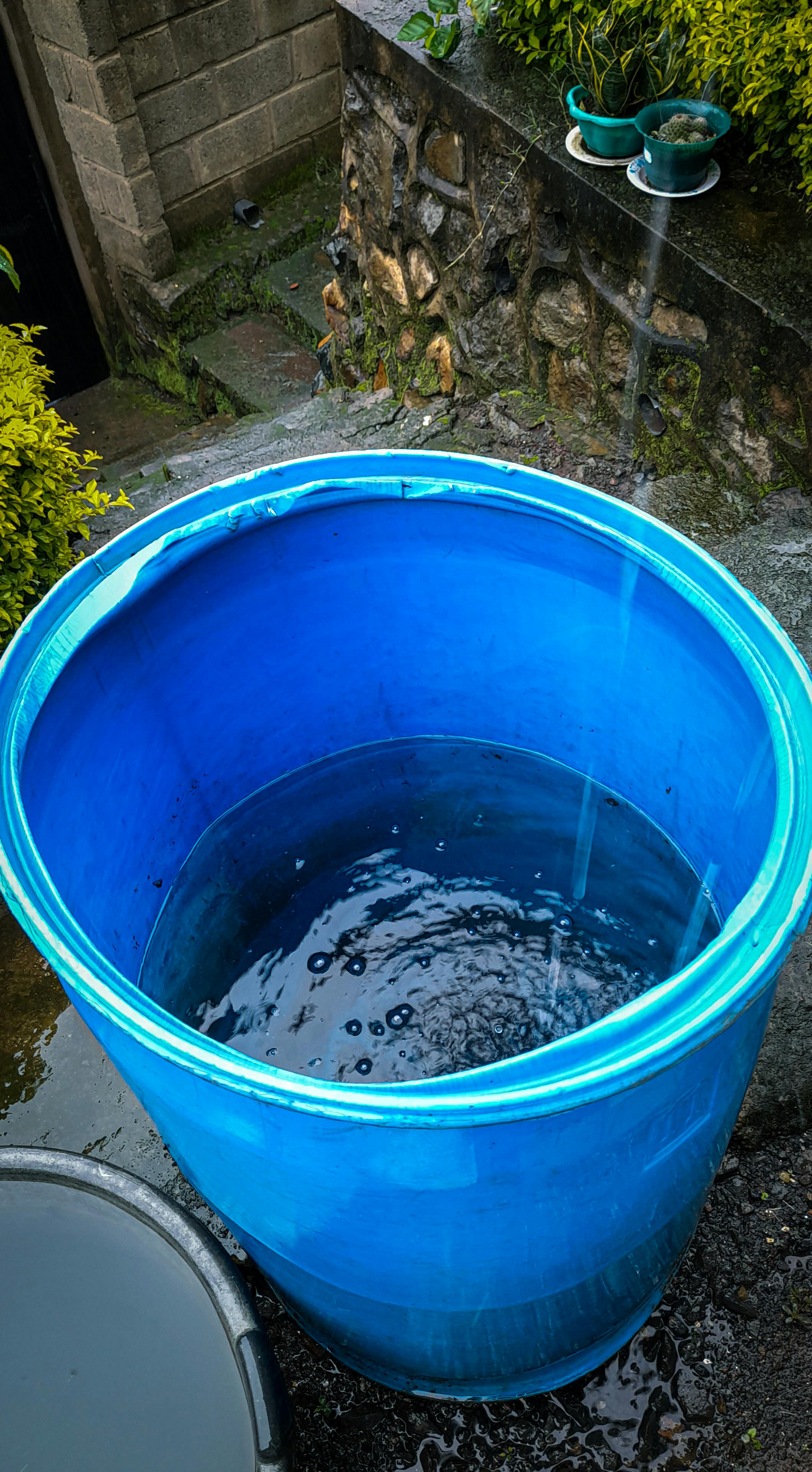 Boaz Mashauri - 摄影