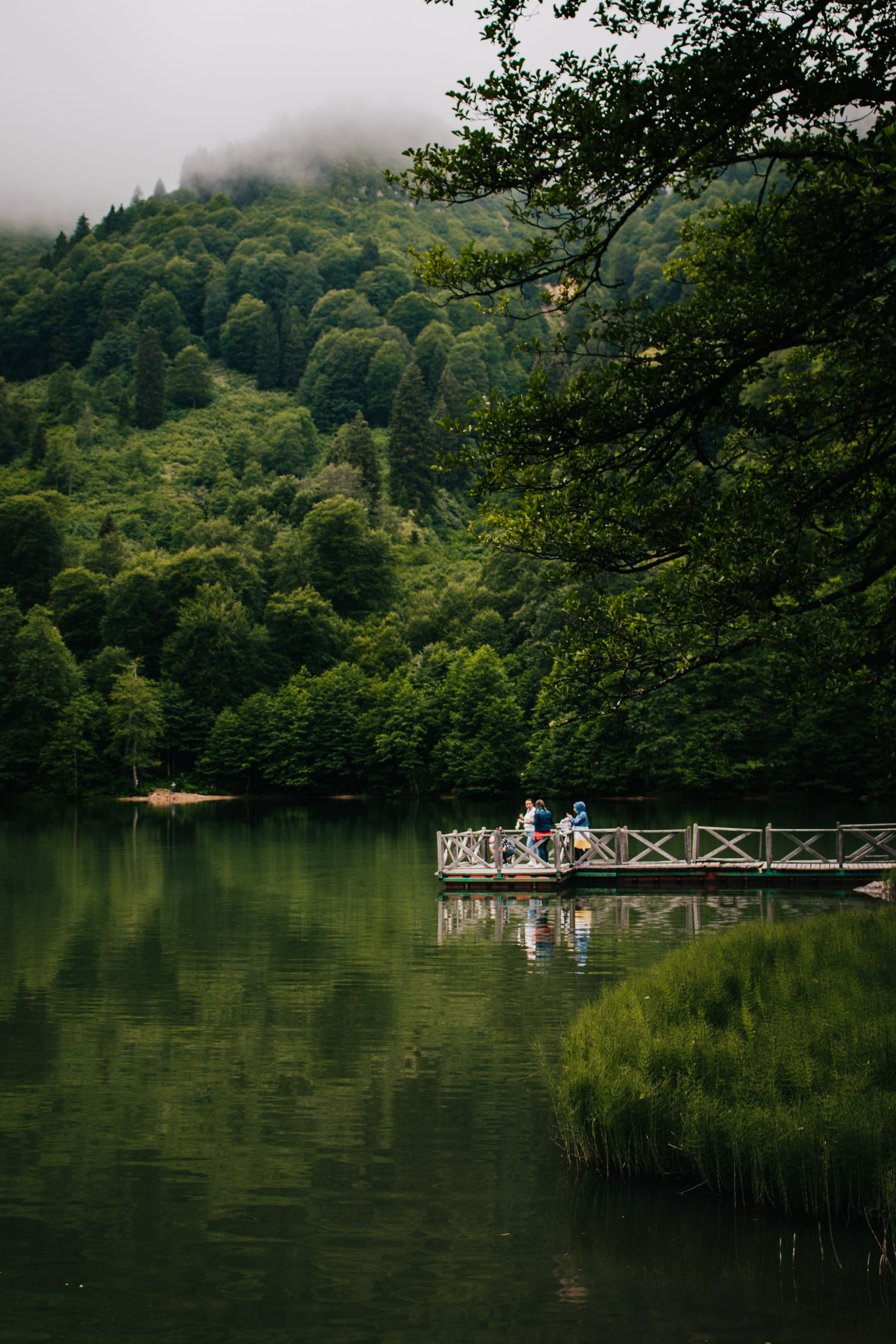 People Standing on Pier in Green Nature Landscape · Free Stock Photo
