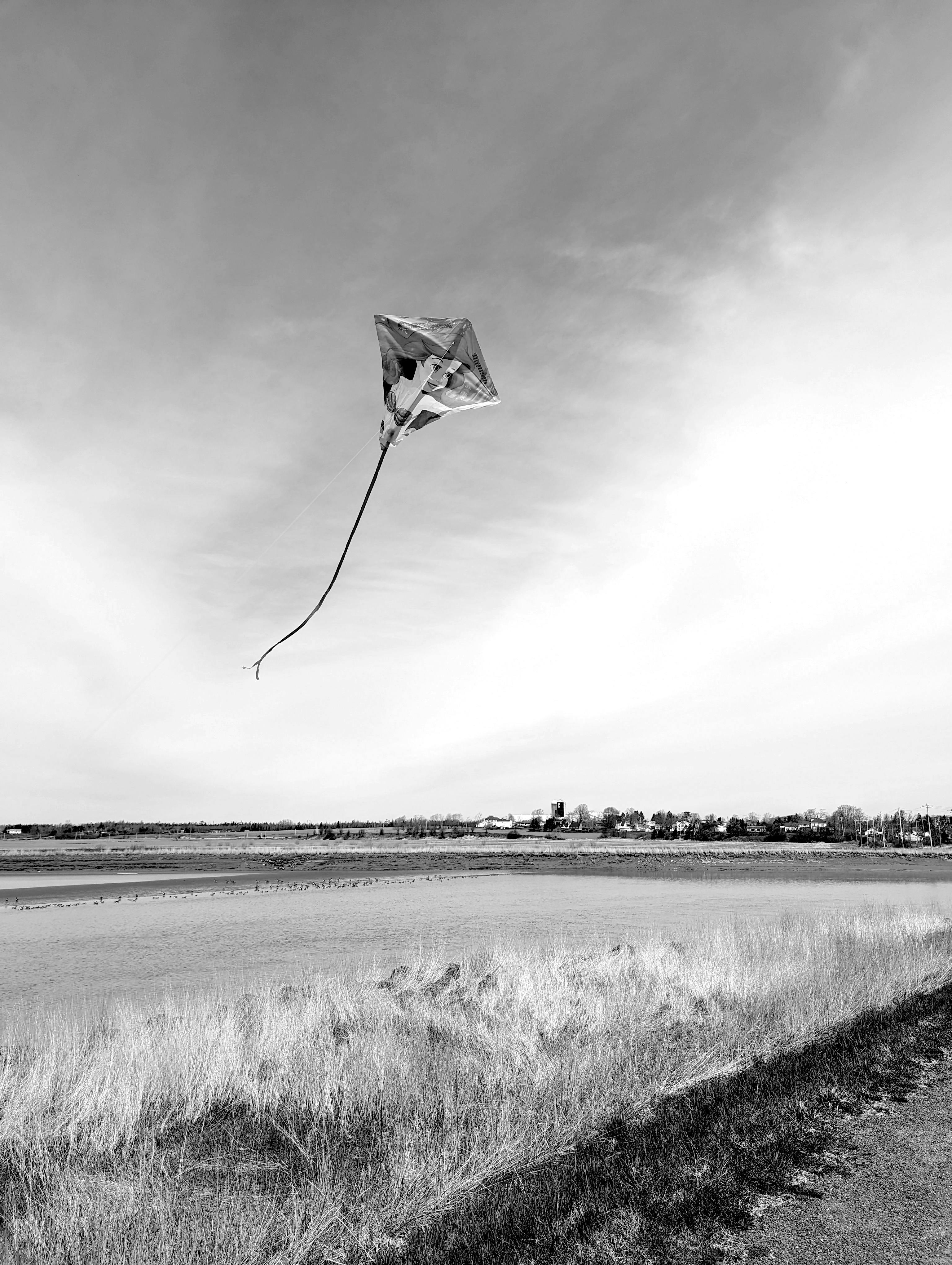 Kite Above Field in Black and White · Free Stock Photo