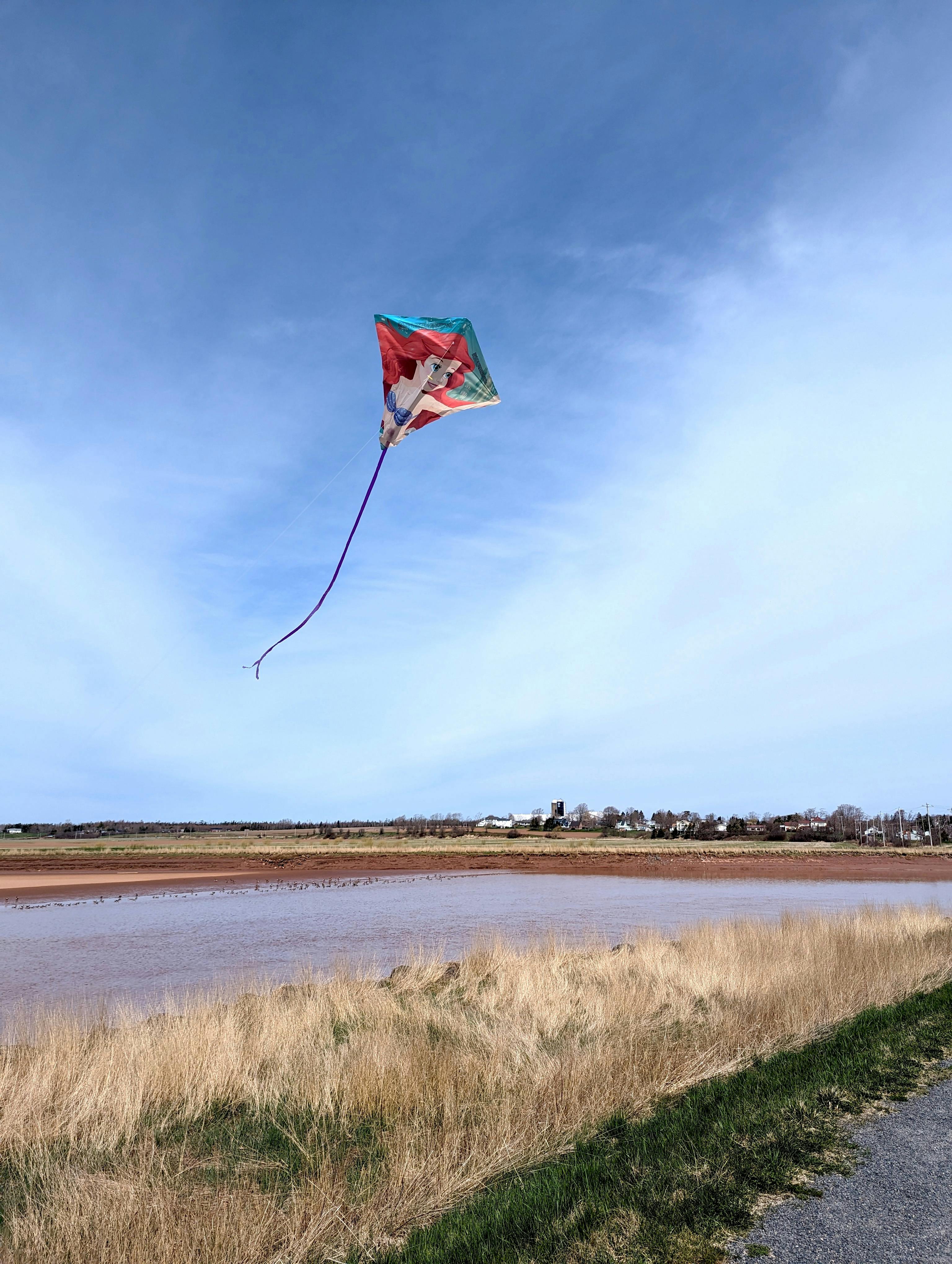 Kite Flying over Lake and Field · Free Stock Photo