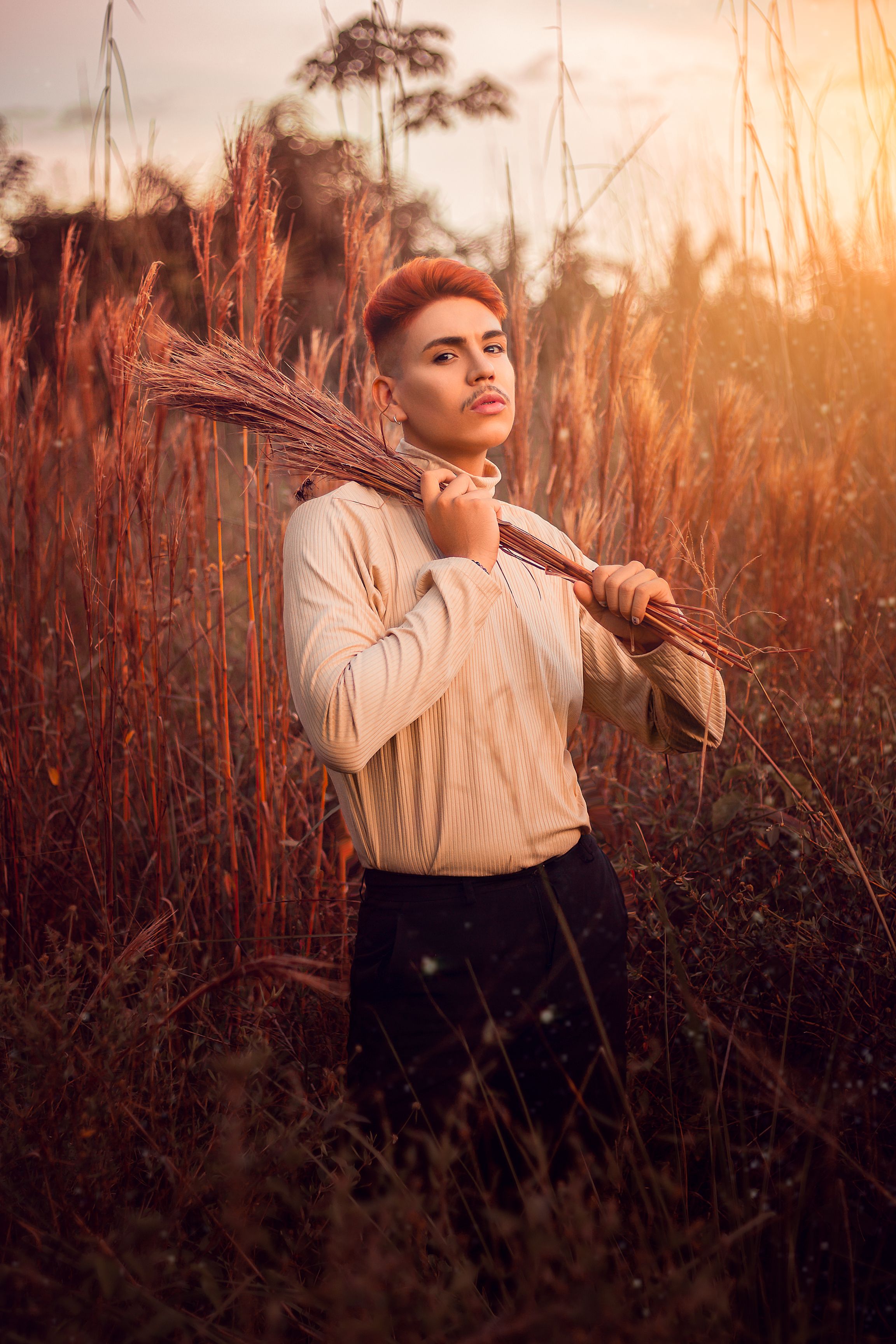 Man Posing Among Wheat in Sunlight · Free Stock Photo