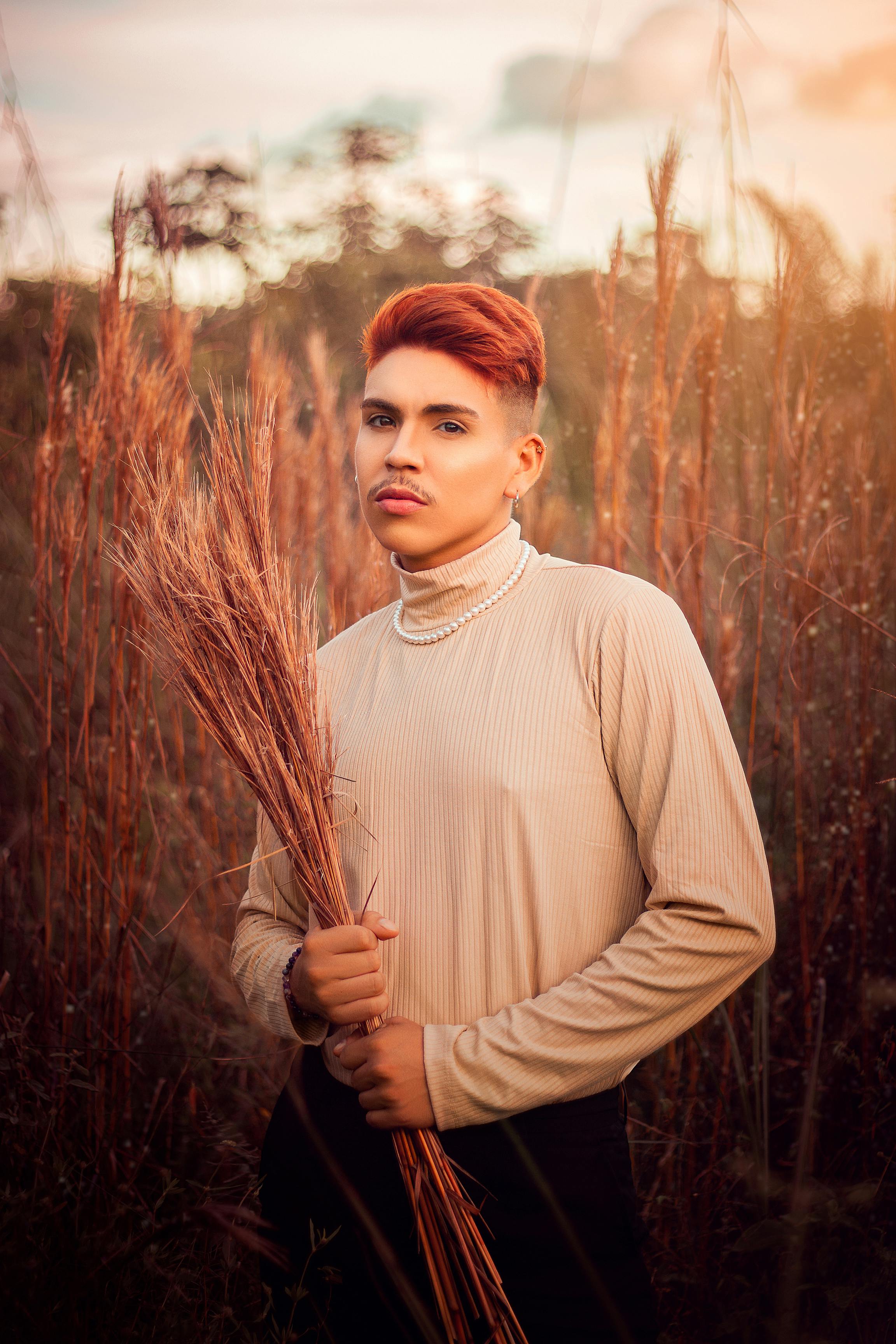 Sunset In A Field Photos, Download The BEST Free Sunset In A Field ...