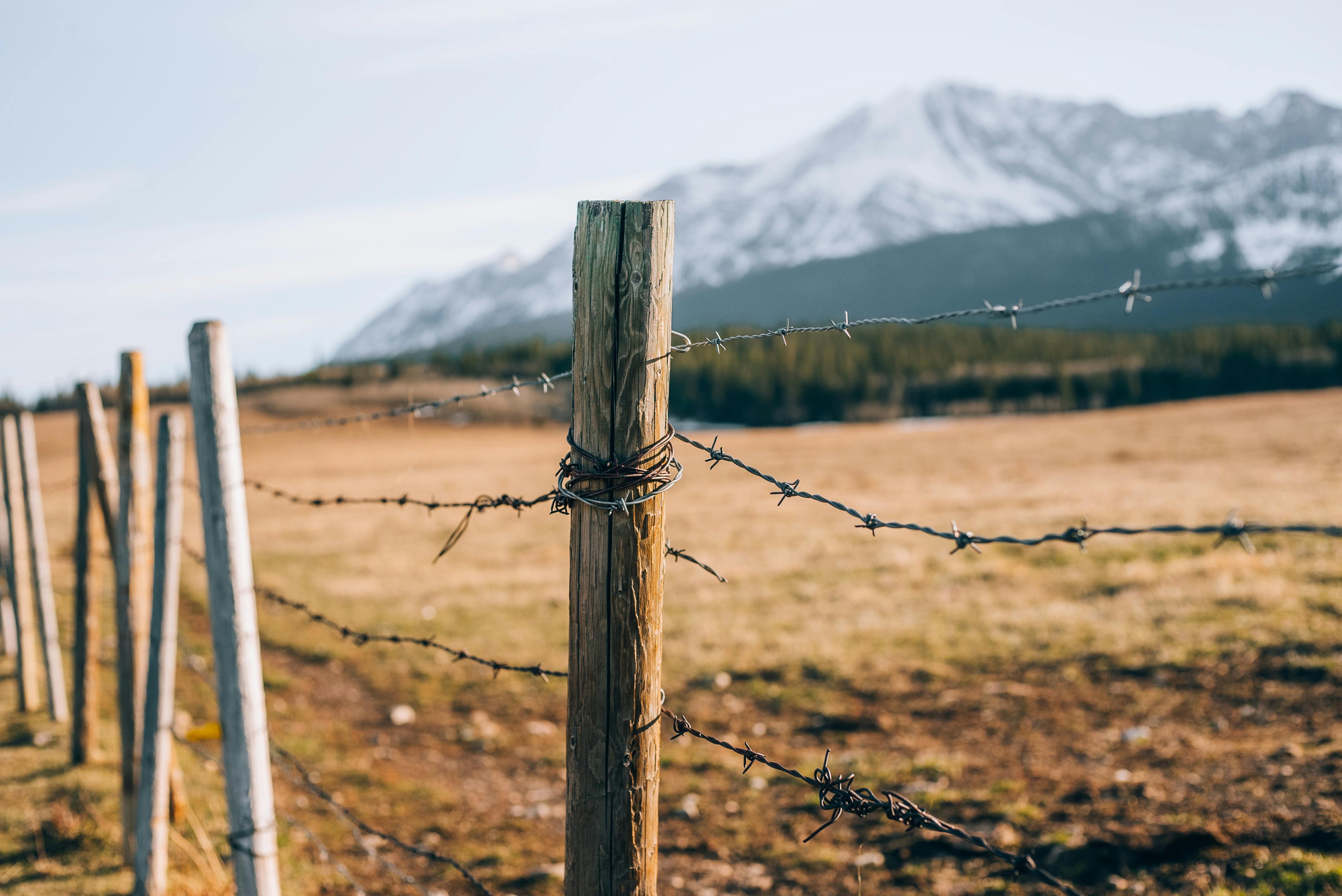 Barbed Wire Fence in Field · Free Stock Photo