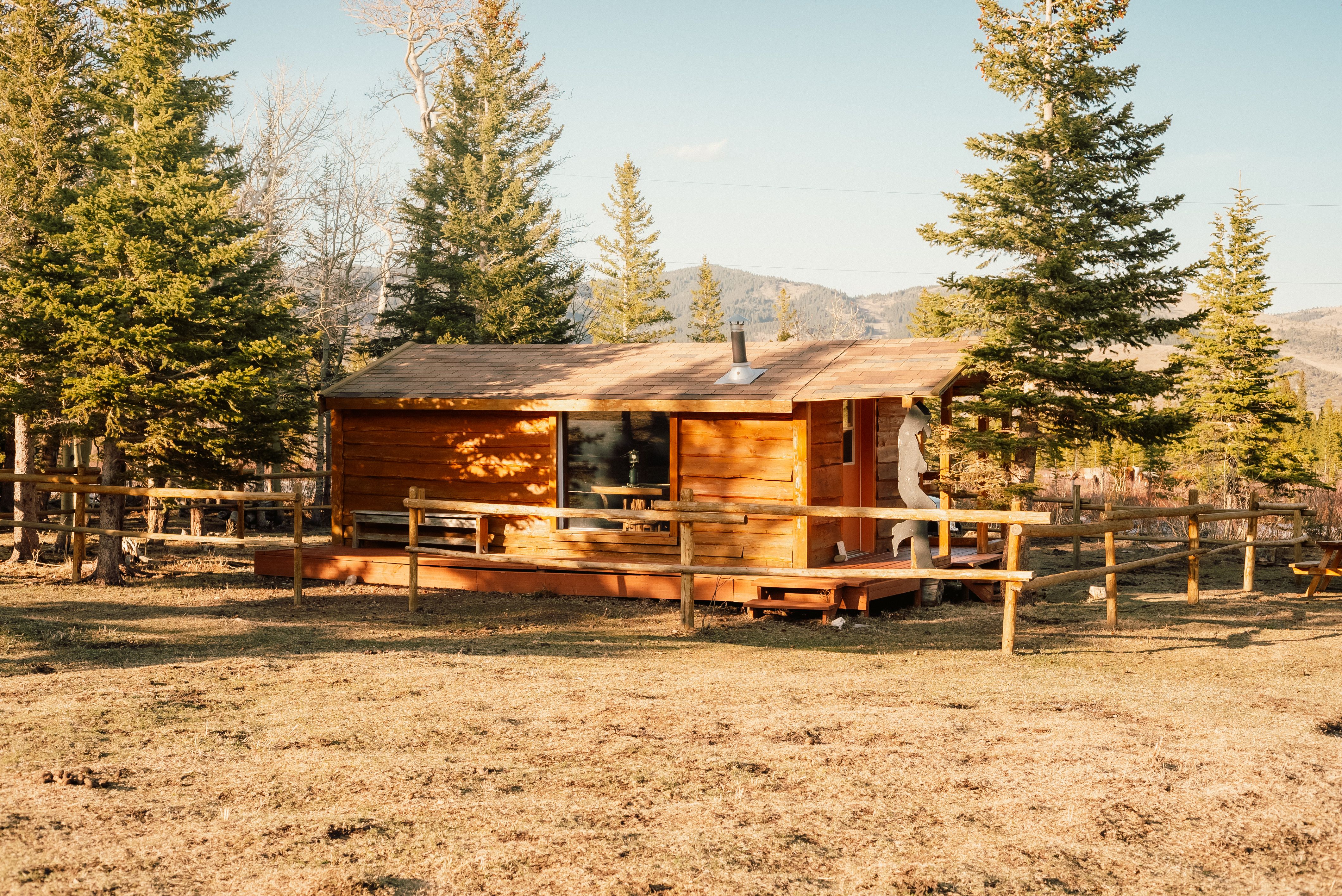 Small Wooden Cabin among Trees in Prairie · Free Stock Photo