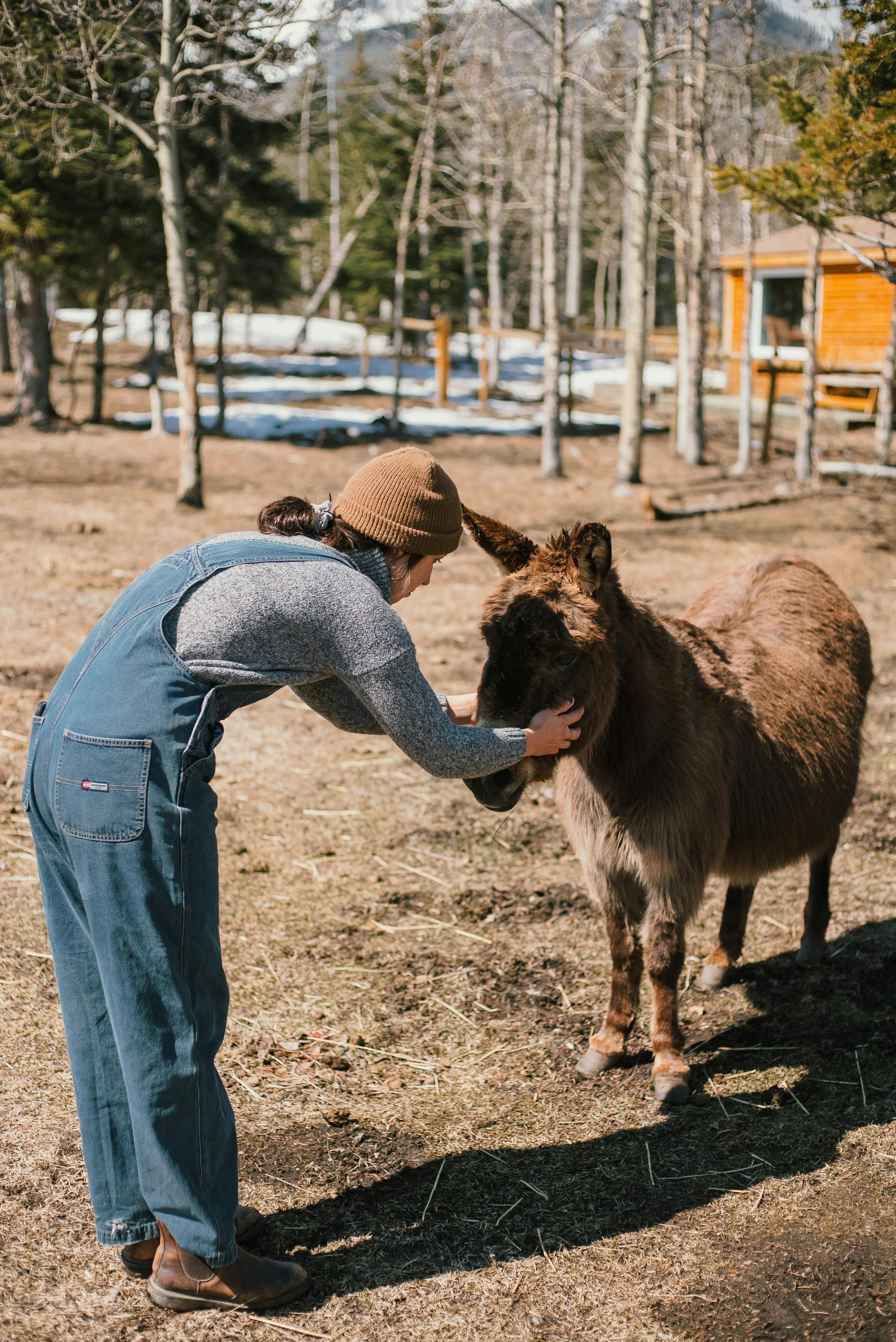 Woman with Donkey in Countryside · Free Stock Photo