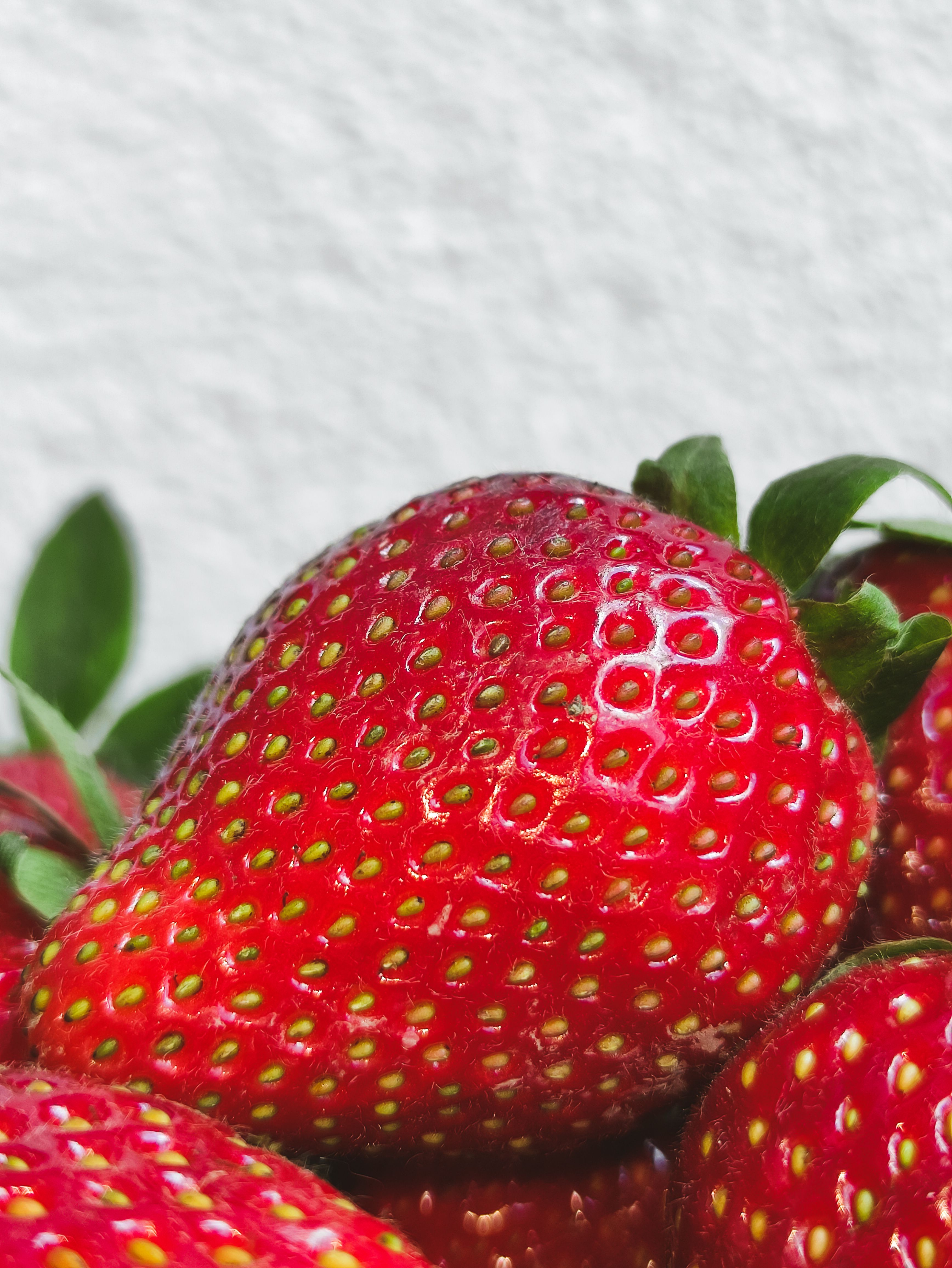Red Strawberries on in Close Up Shot · Free Stock Photo