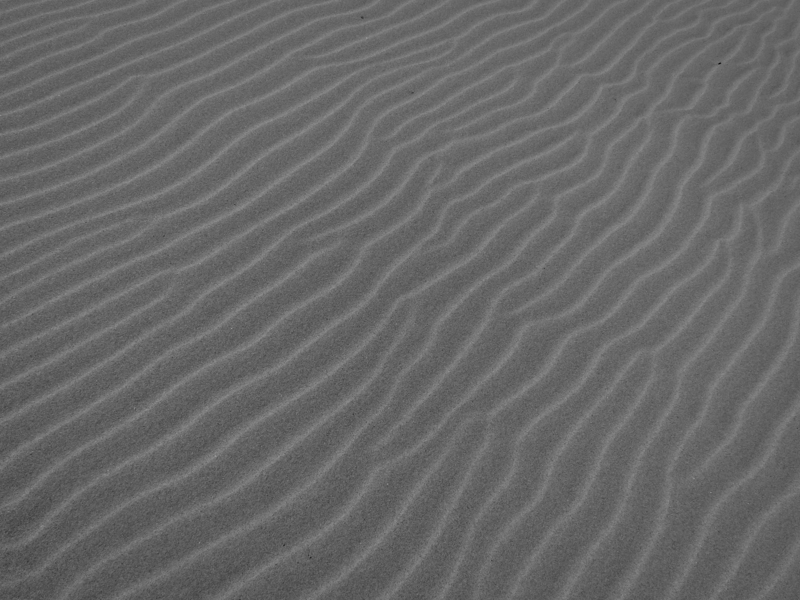 Natural Shapes Photos, Download The BEST Free Natural Shapes Stock ...