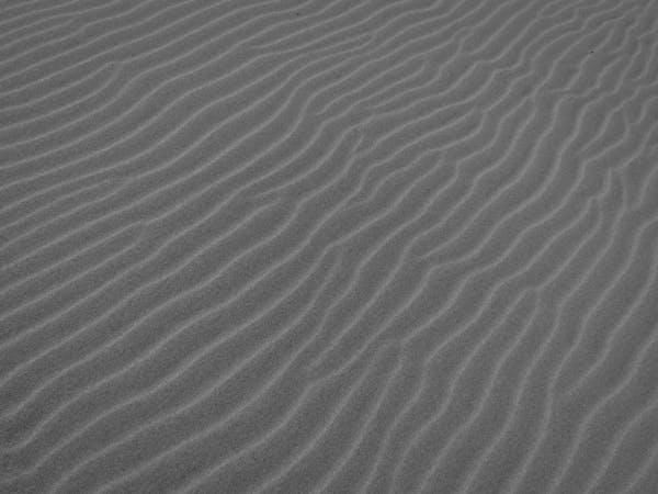 Natural Shapes Photos, Download The BEST Free Natural Shapes Stock ...