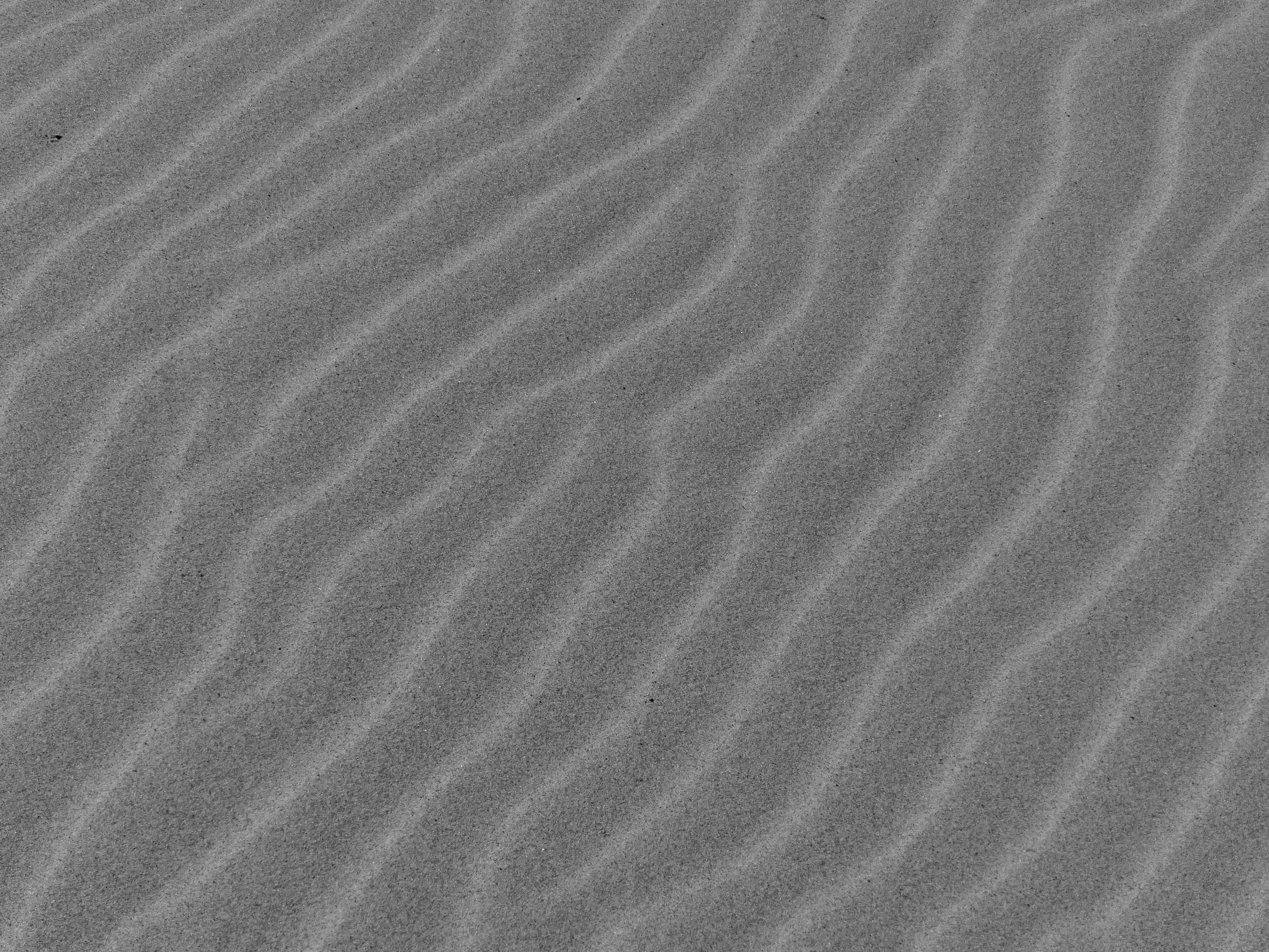 Gray Sand Dunes · Free Stock Photo