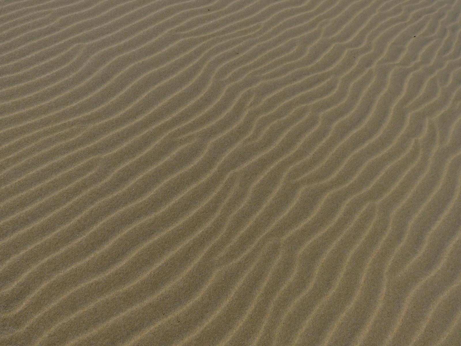 Natural Shapes Photos, Download The BEST Free Natural Shapes Stock ...