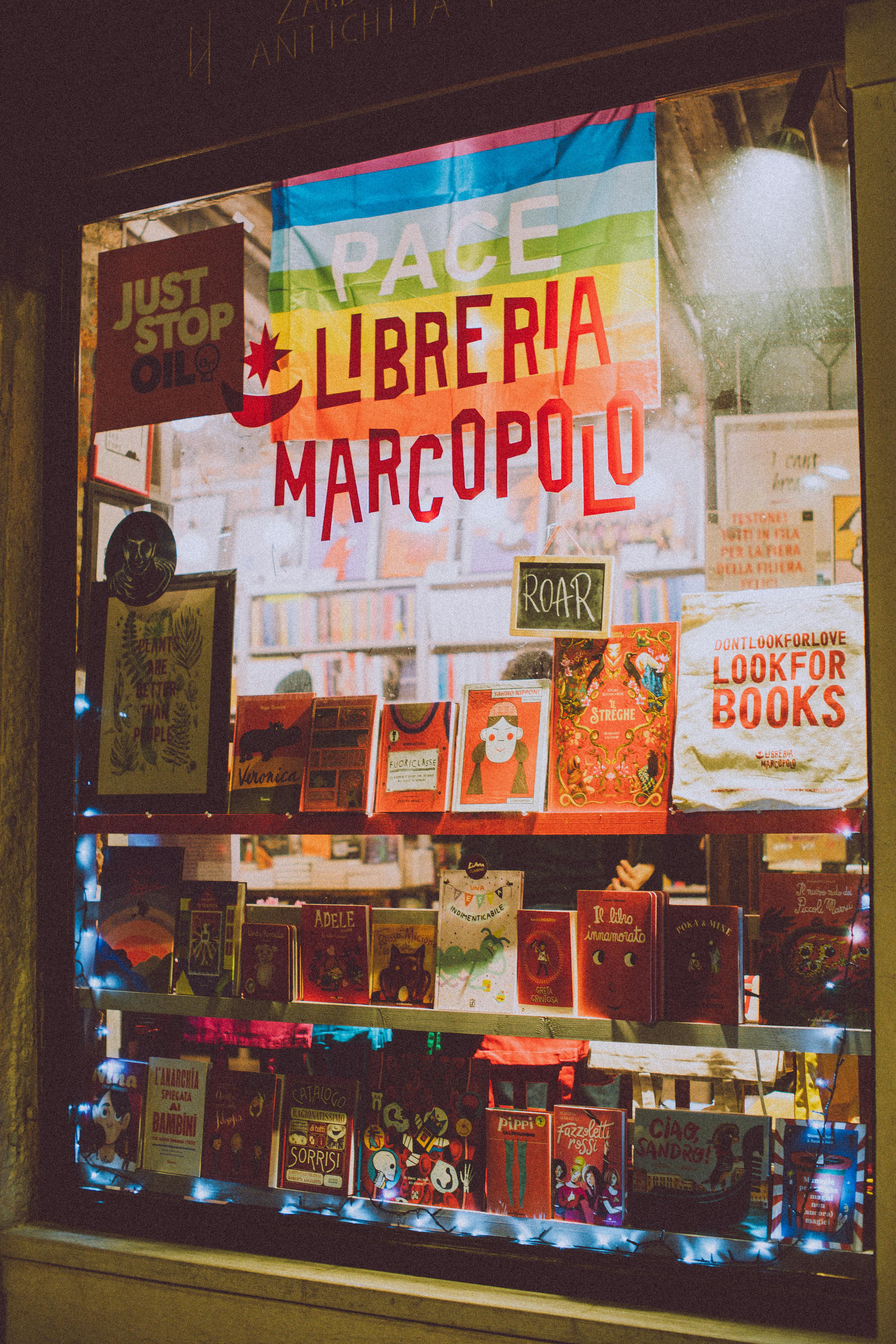Illuminated Window Display of a Bookstore · Free Stock Photo