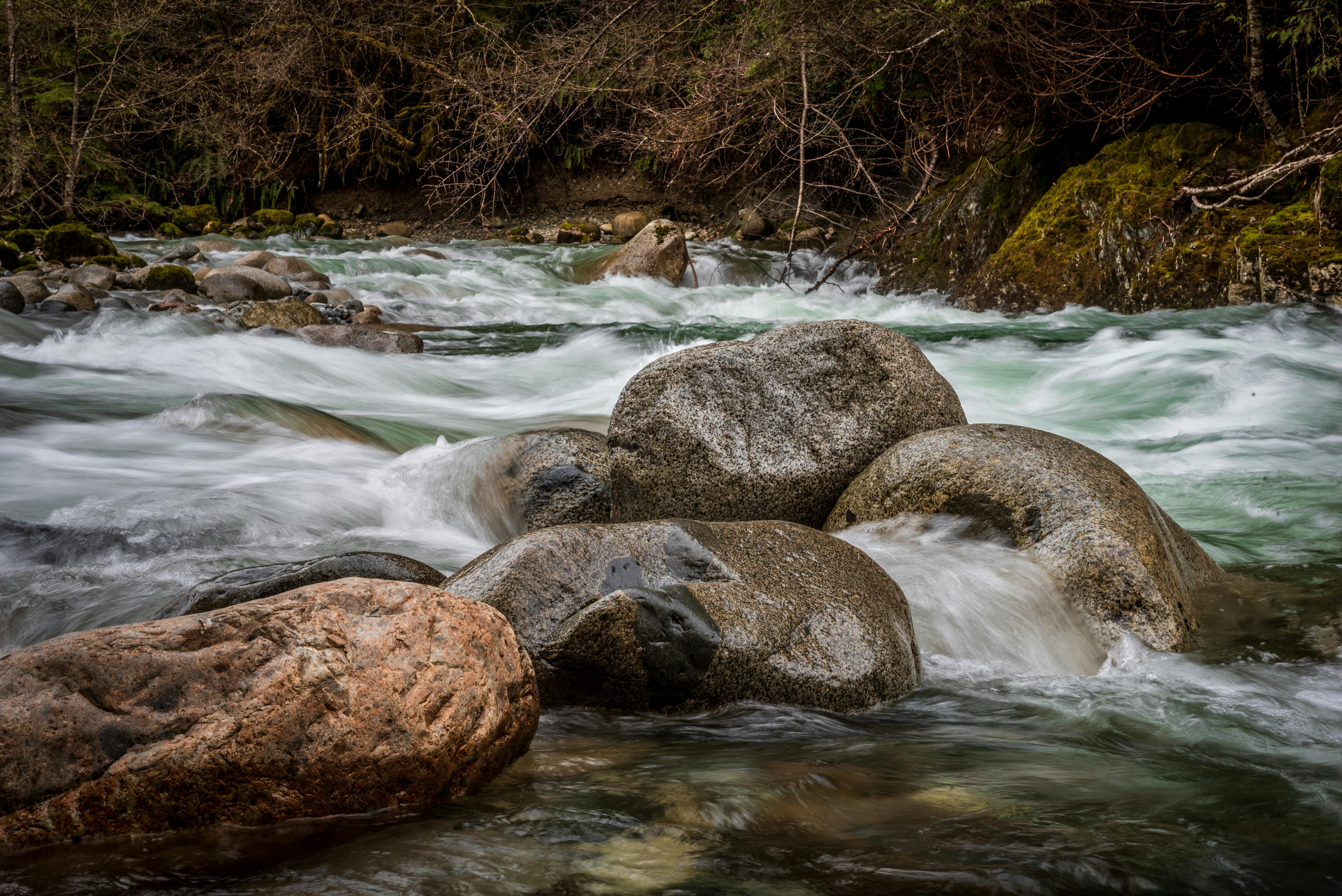 Stones in a Stream · Free Stock Photo