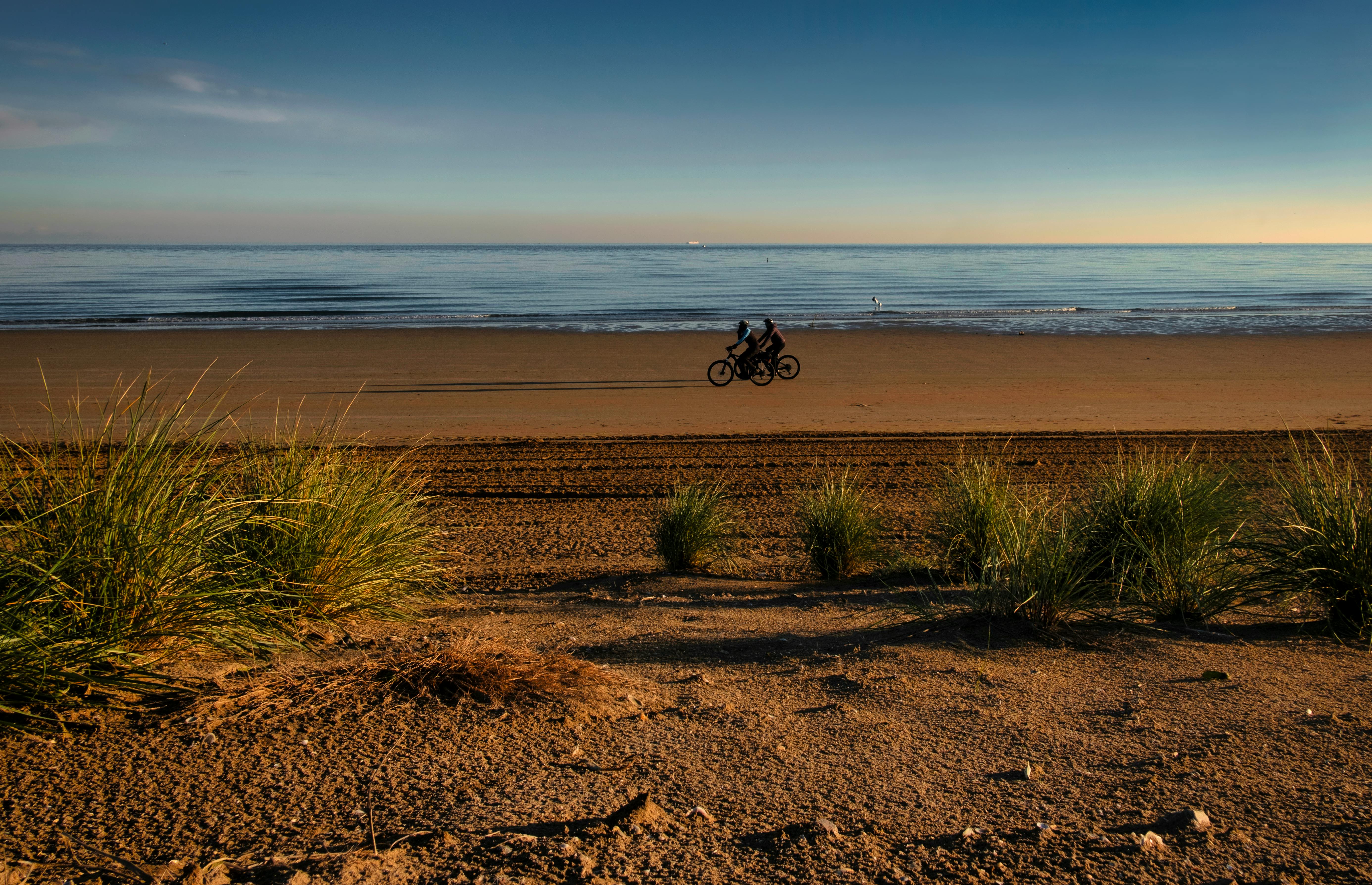 People Riding Bikes on Beach · Free Stock Photo
