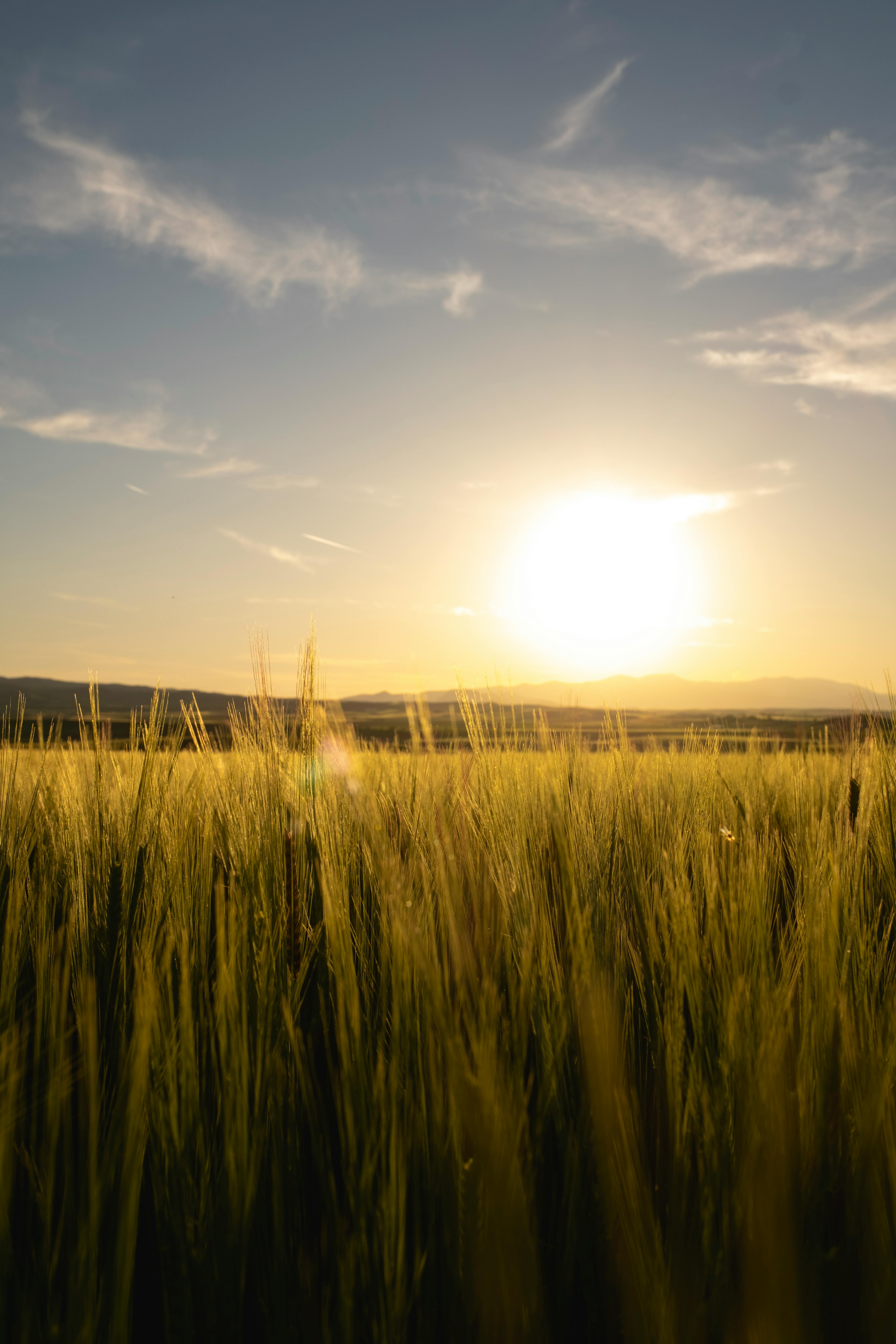 Rural Field and a House in Distance · Free Stock Photo