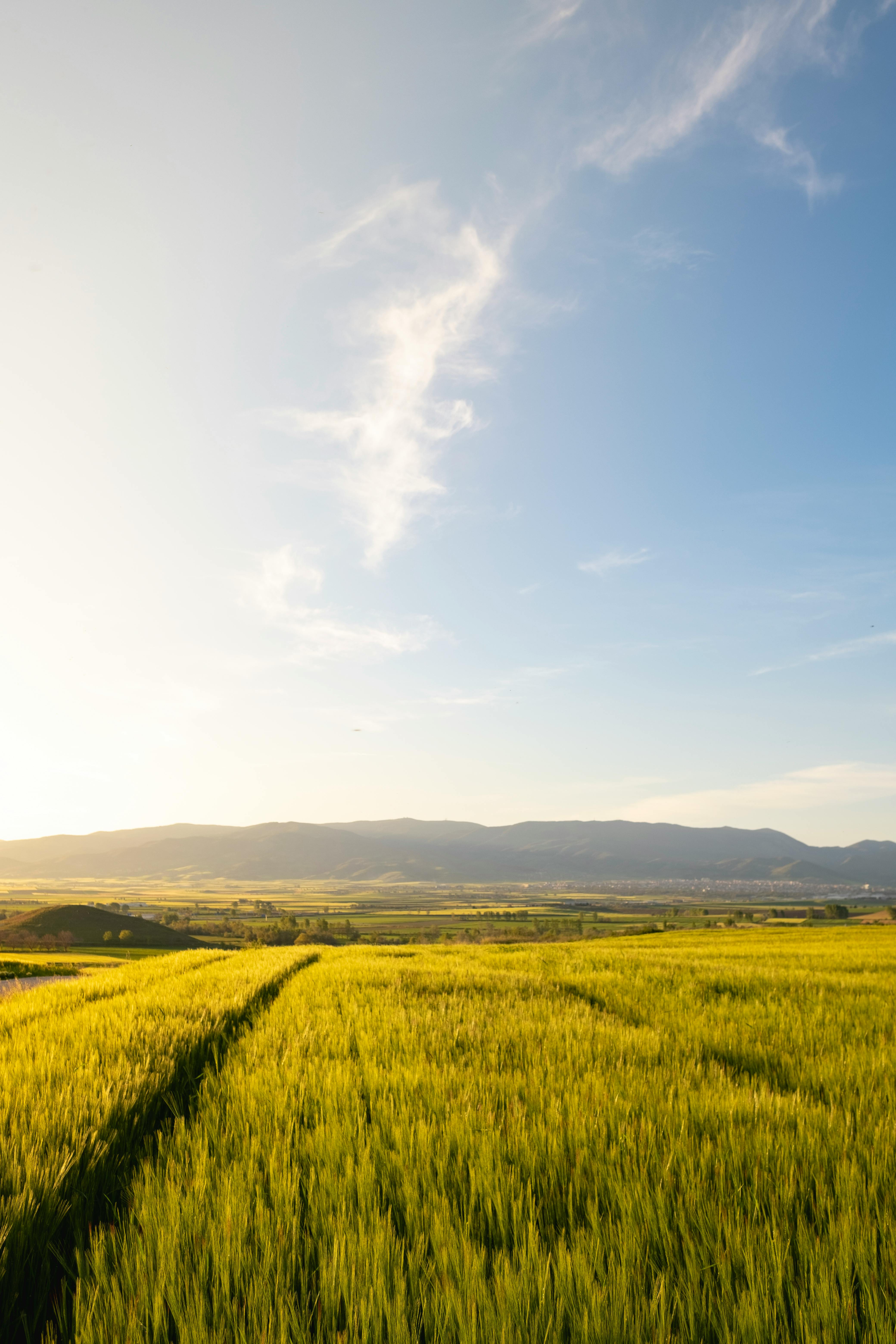 Background Of A Rising Sun Over Fields Photos, Download The BEST Free ...