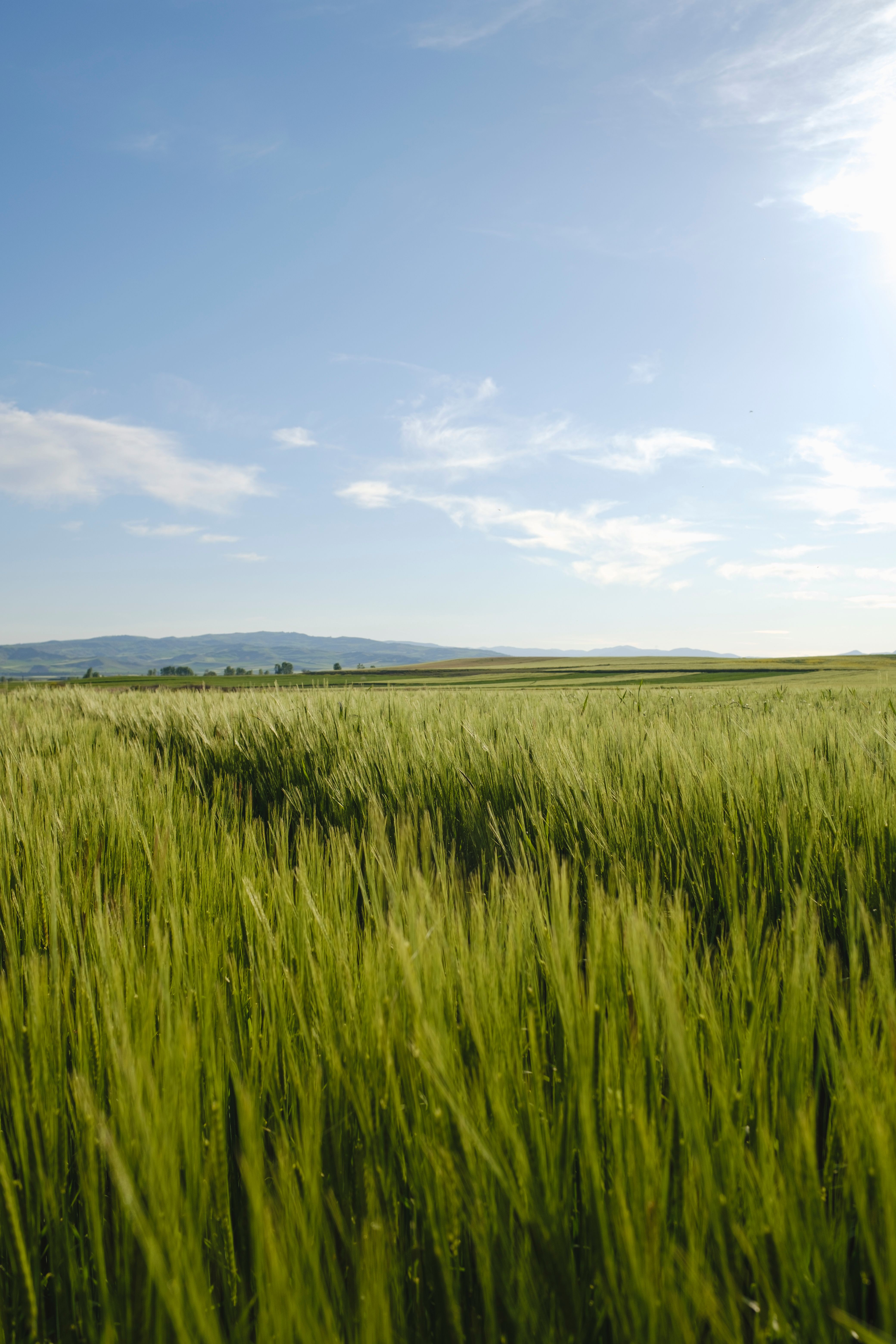 Landscape of Grass Field and Hills in Distance · Free Stock Photo
