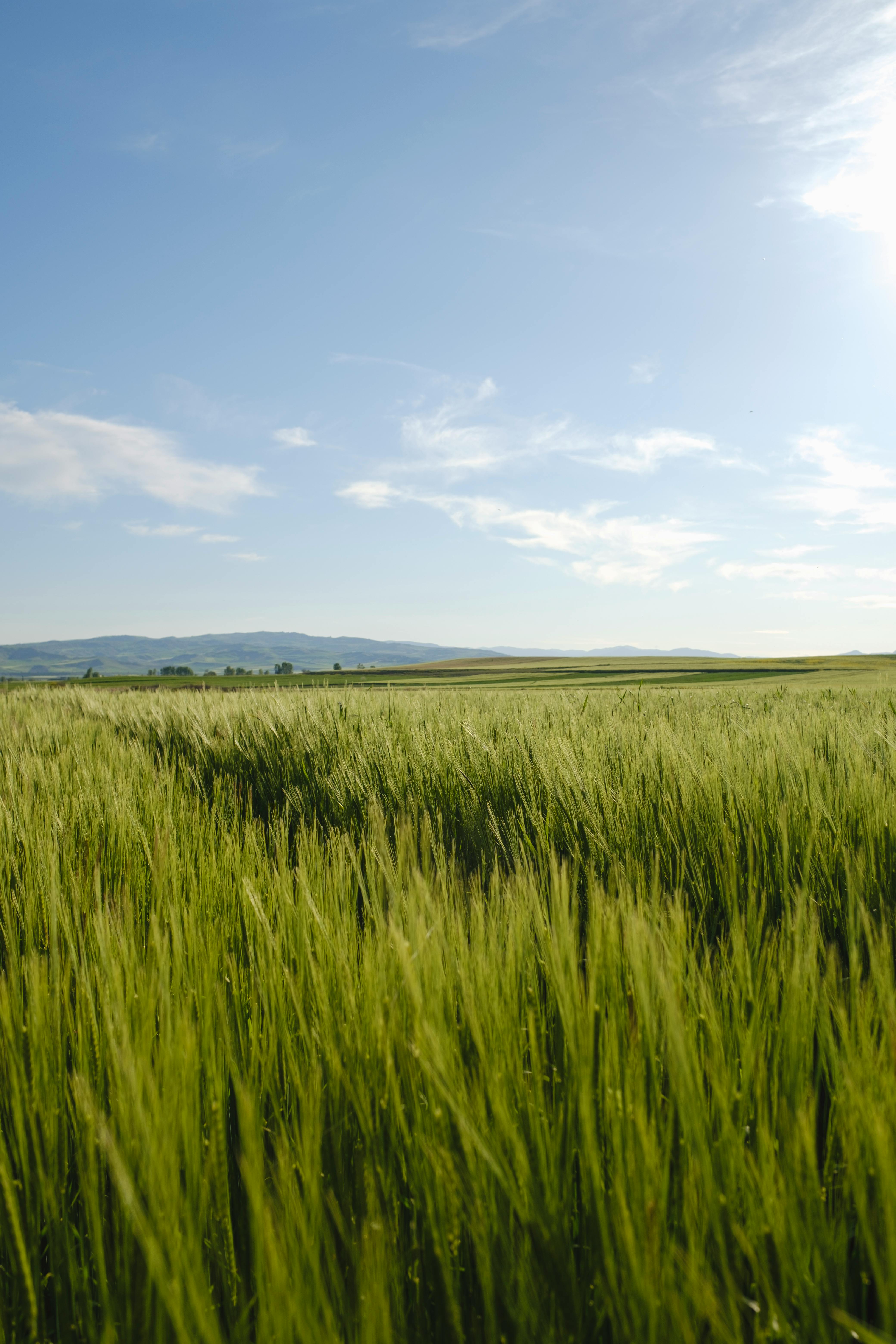 Landscape of Grass Field and Hills in Distance · Free Stock Photo