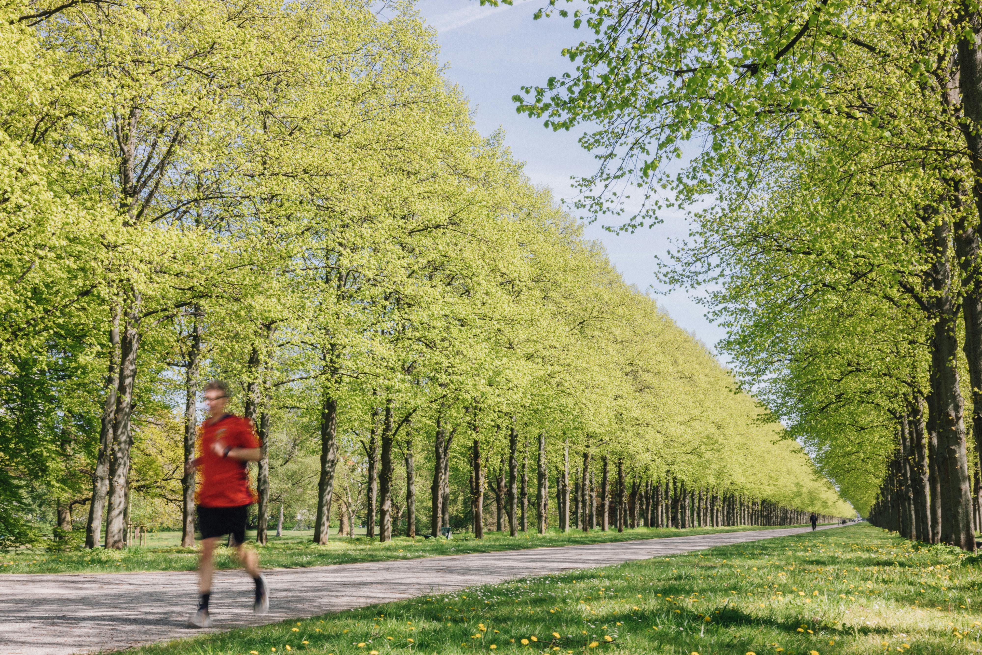 Man Running in a Park · Free Stock Photo