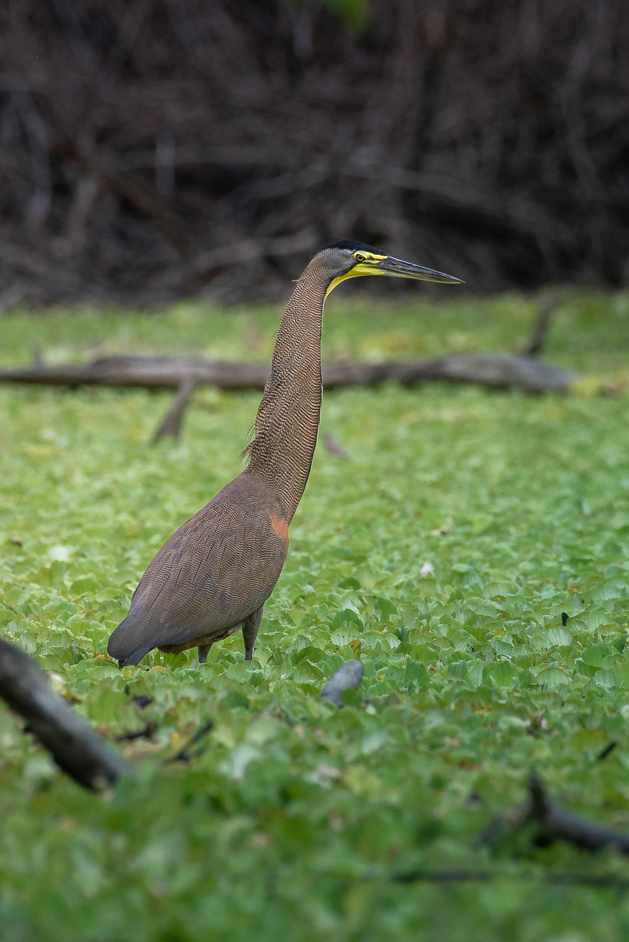 Jonnathan Marin - Photography