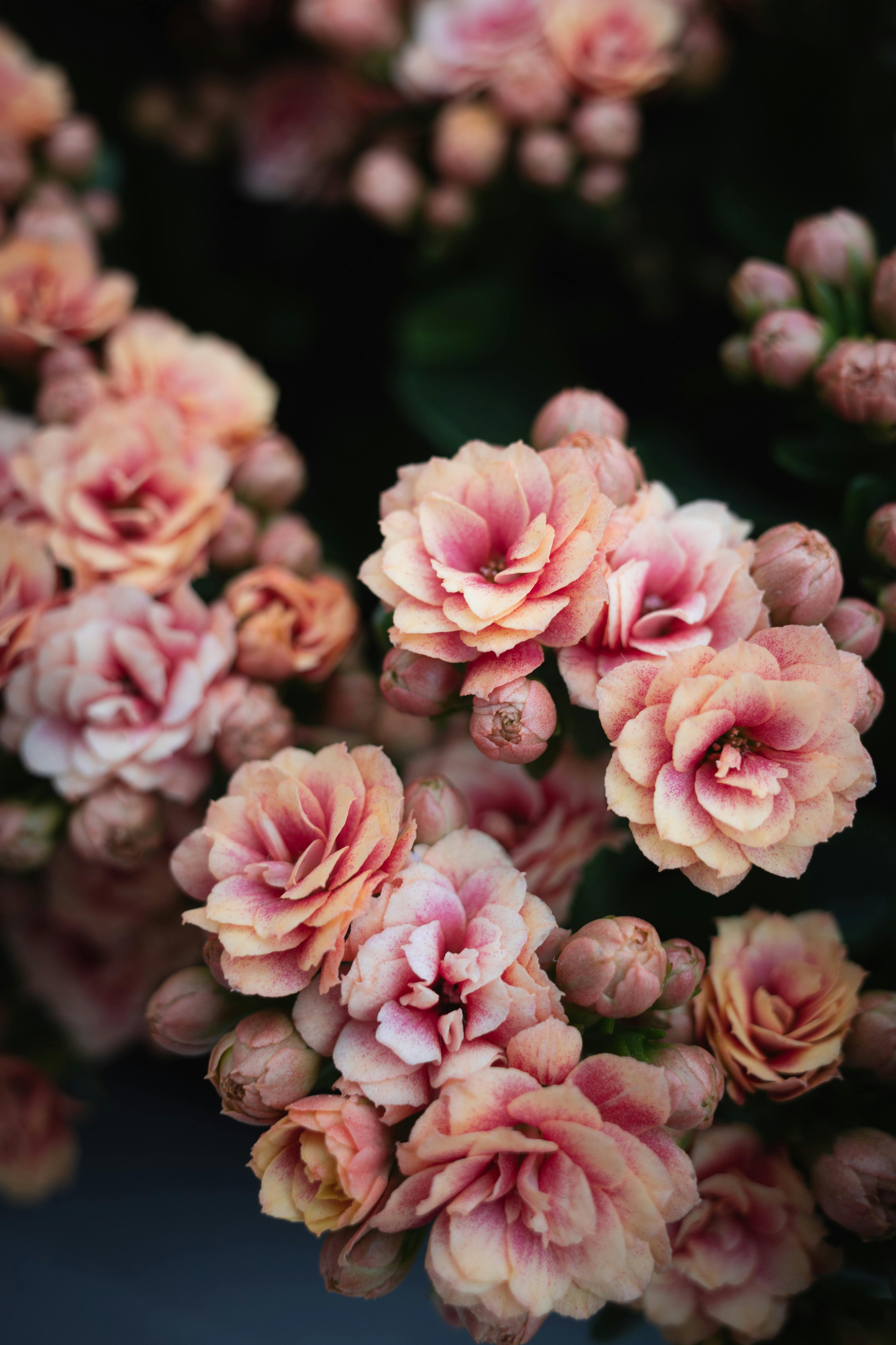 Iphone Lock Screen Wallpaper Tumblr