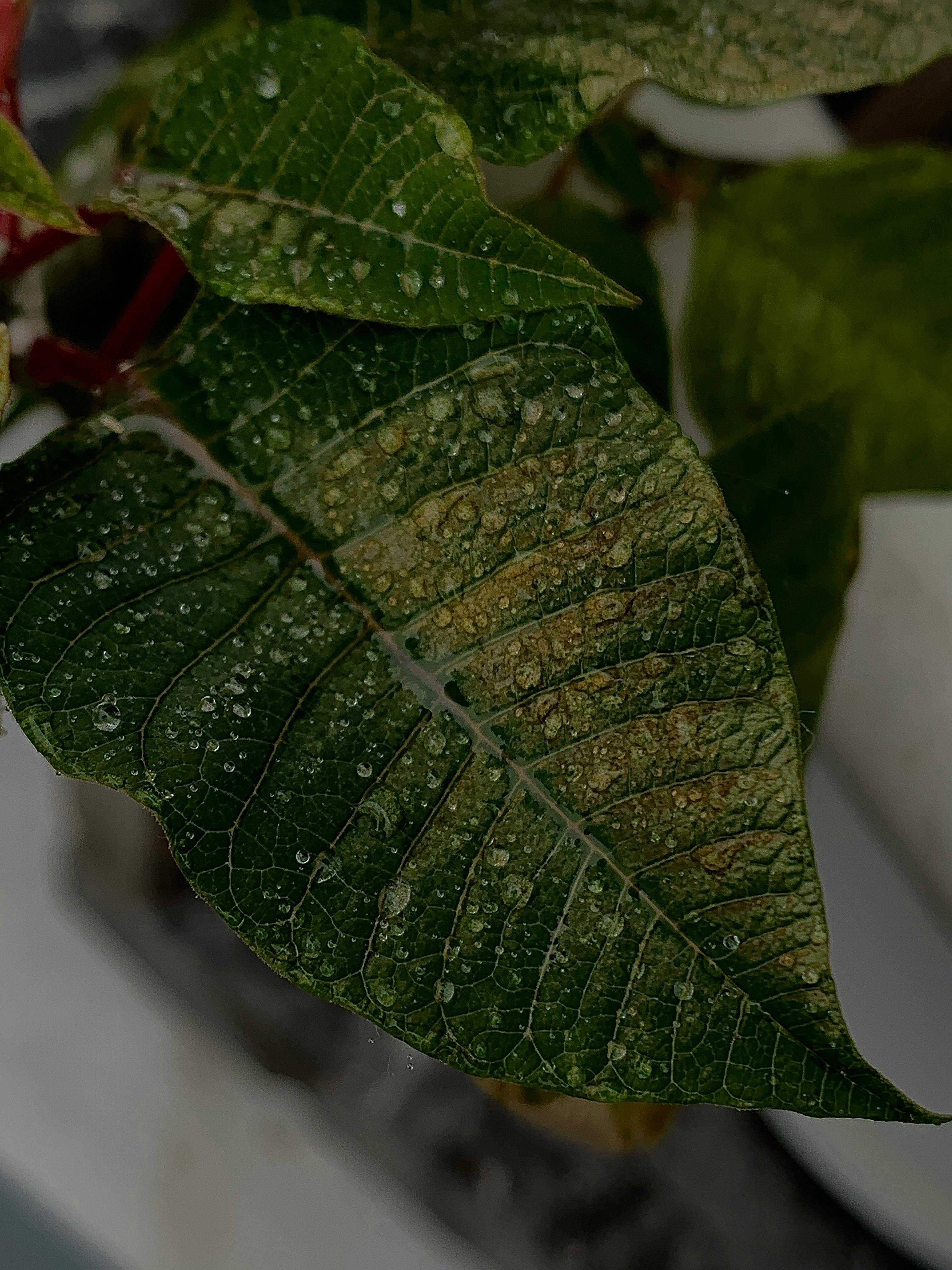 By.Parisa - Photography