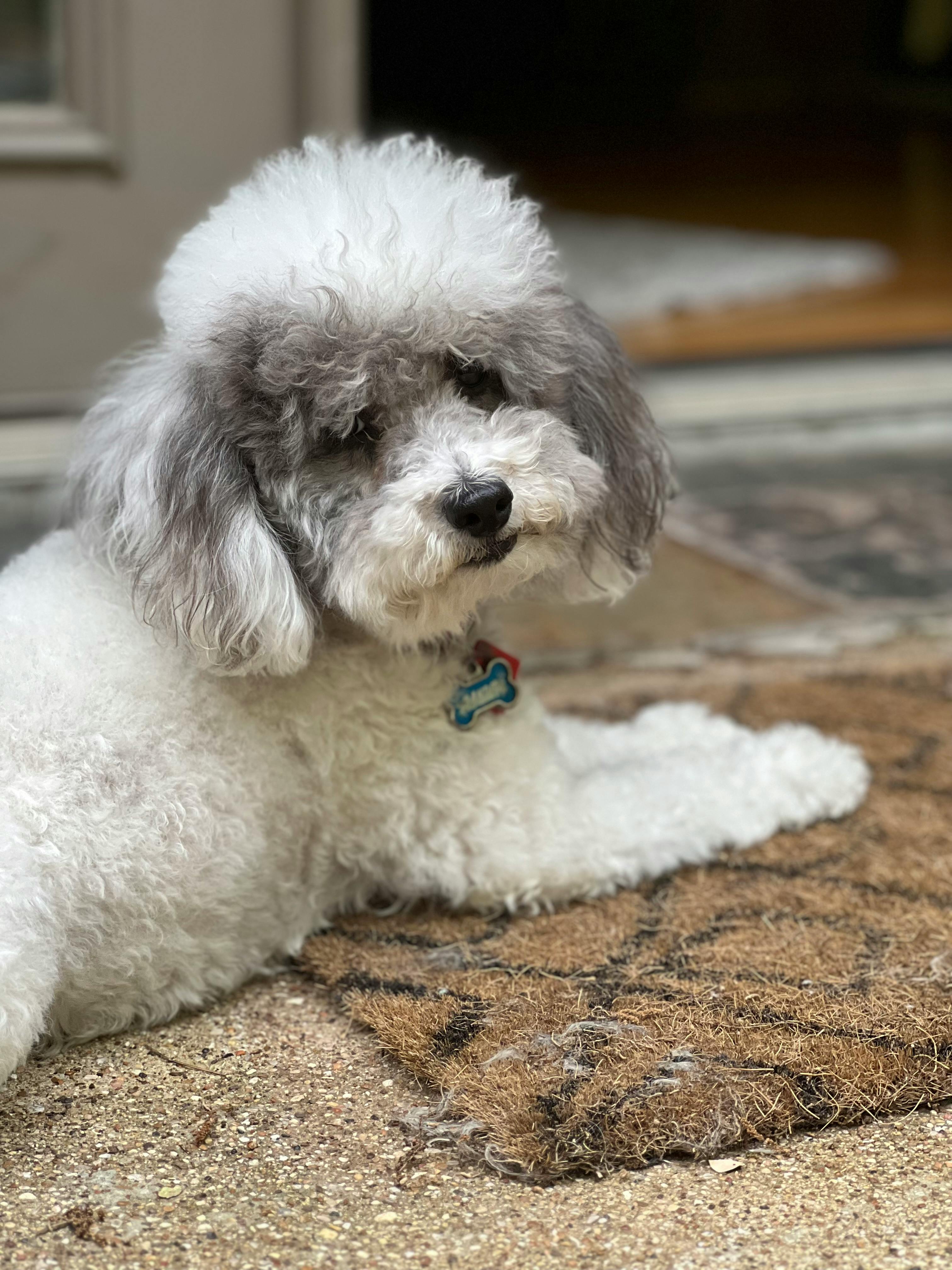 Cute Iages Photos, Download The BEST Free Cute Iages Stock Photos & HD ...