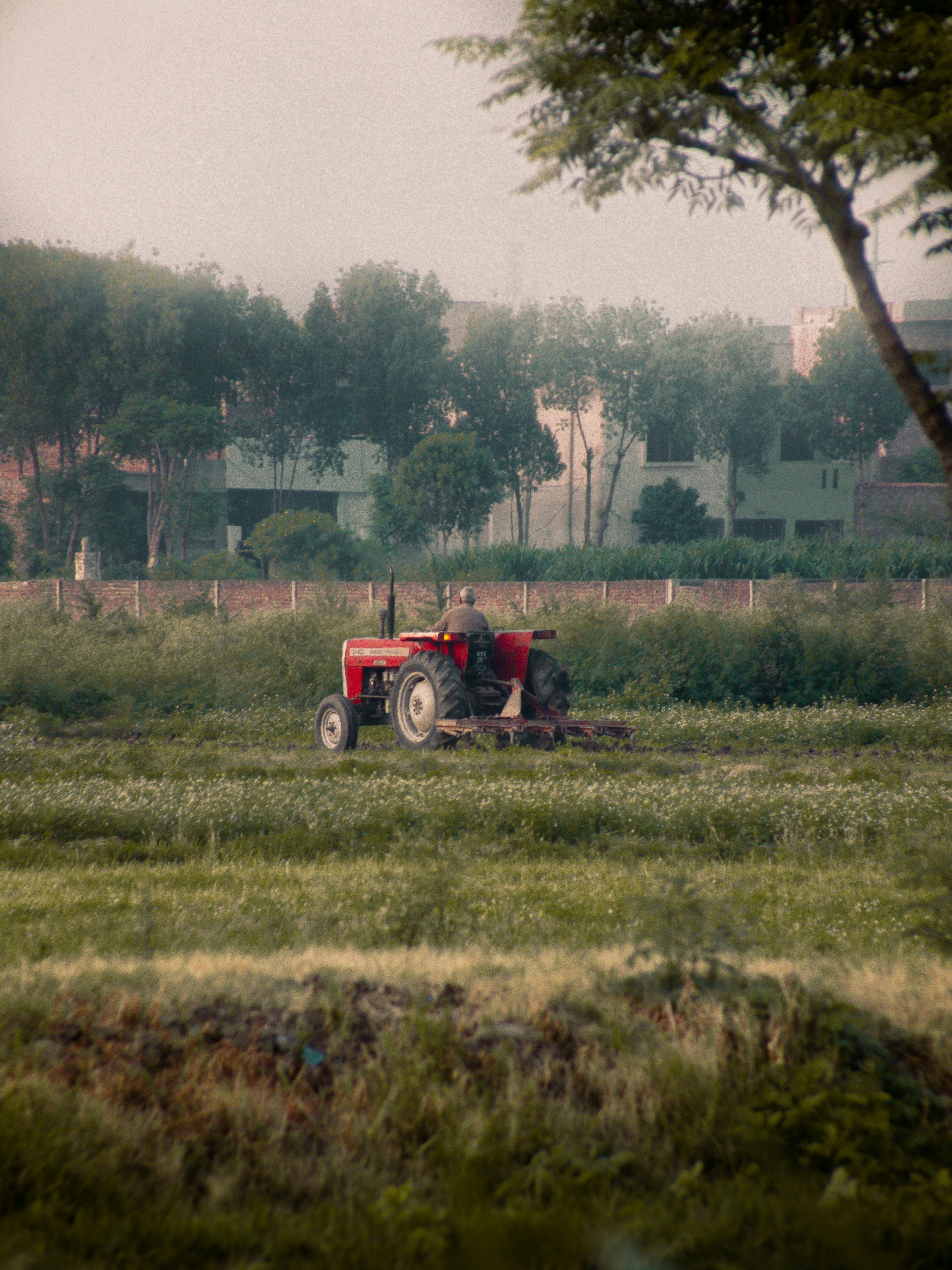 Tractors on the Road between Trees · Free Stock Photo
