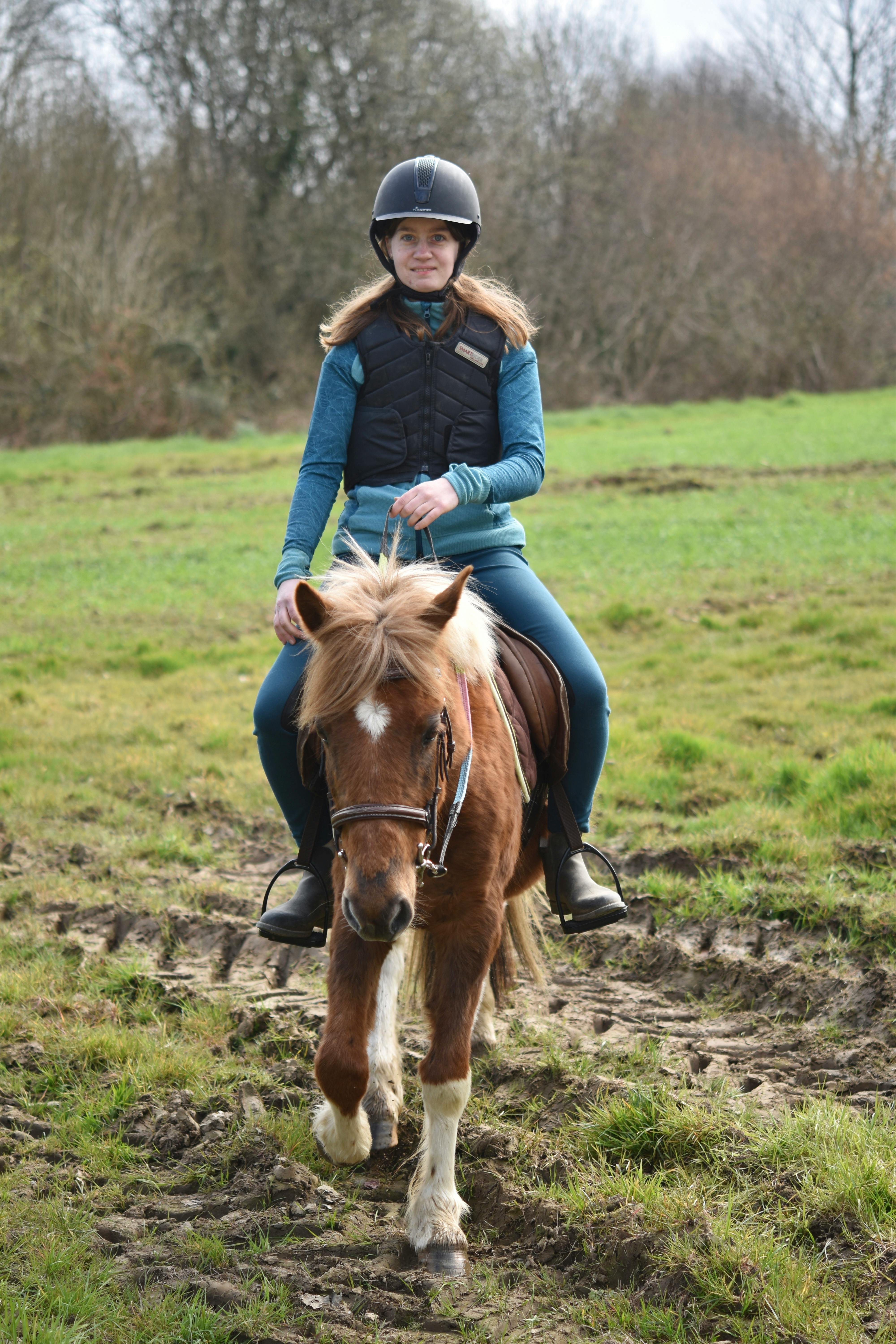 Back View Of People Riding Horses n Green Field · Free Stock Photo