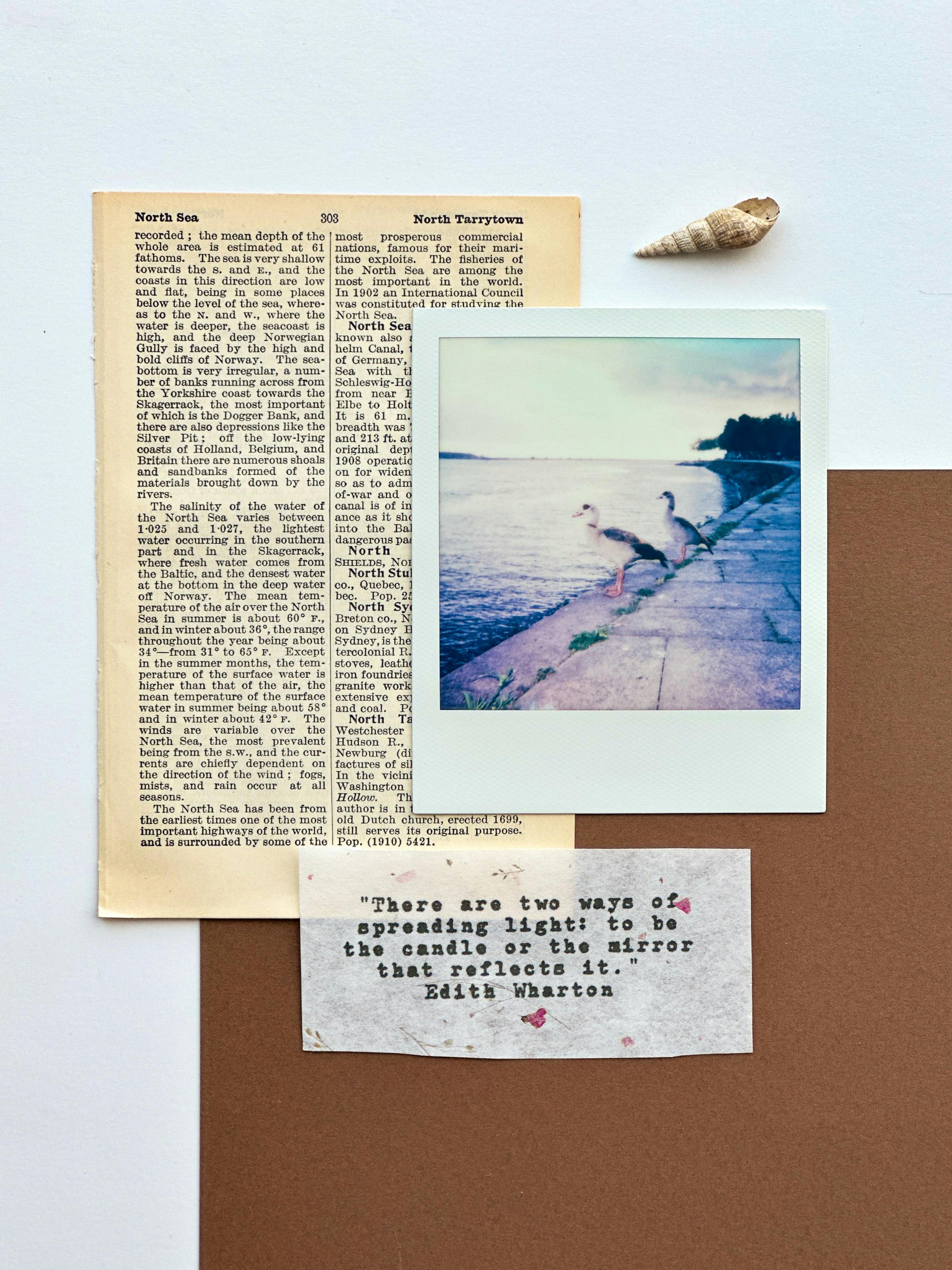 A Collage of an Old Book Page, a Piece of Paper with a Quote and an ...