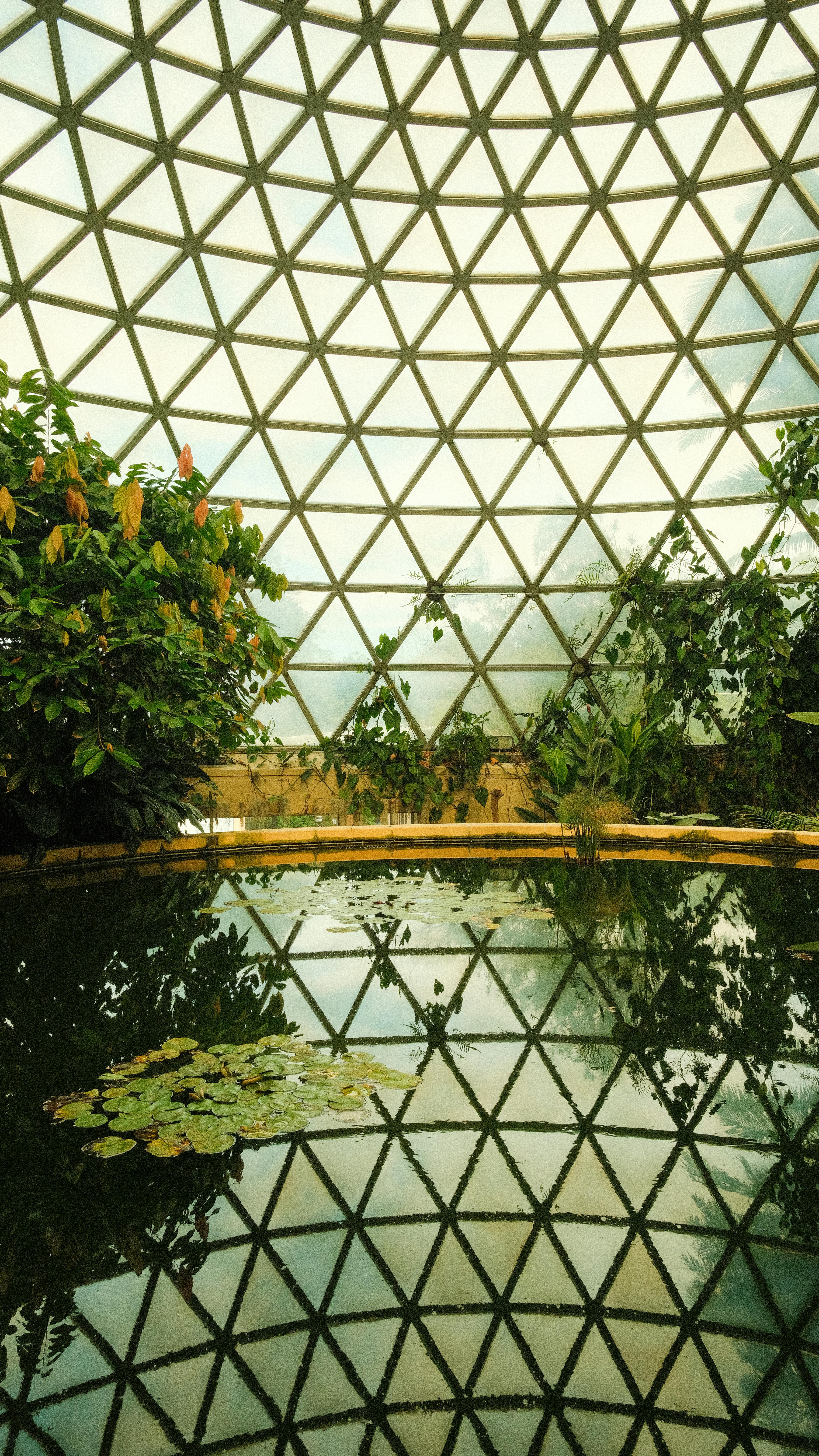 Glass Dome of a Tropical Botanical Garden Reflecting in a Pond · Free ...