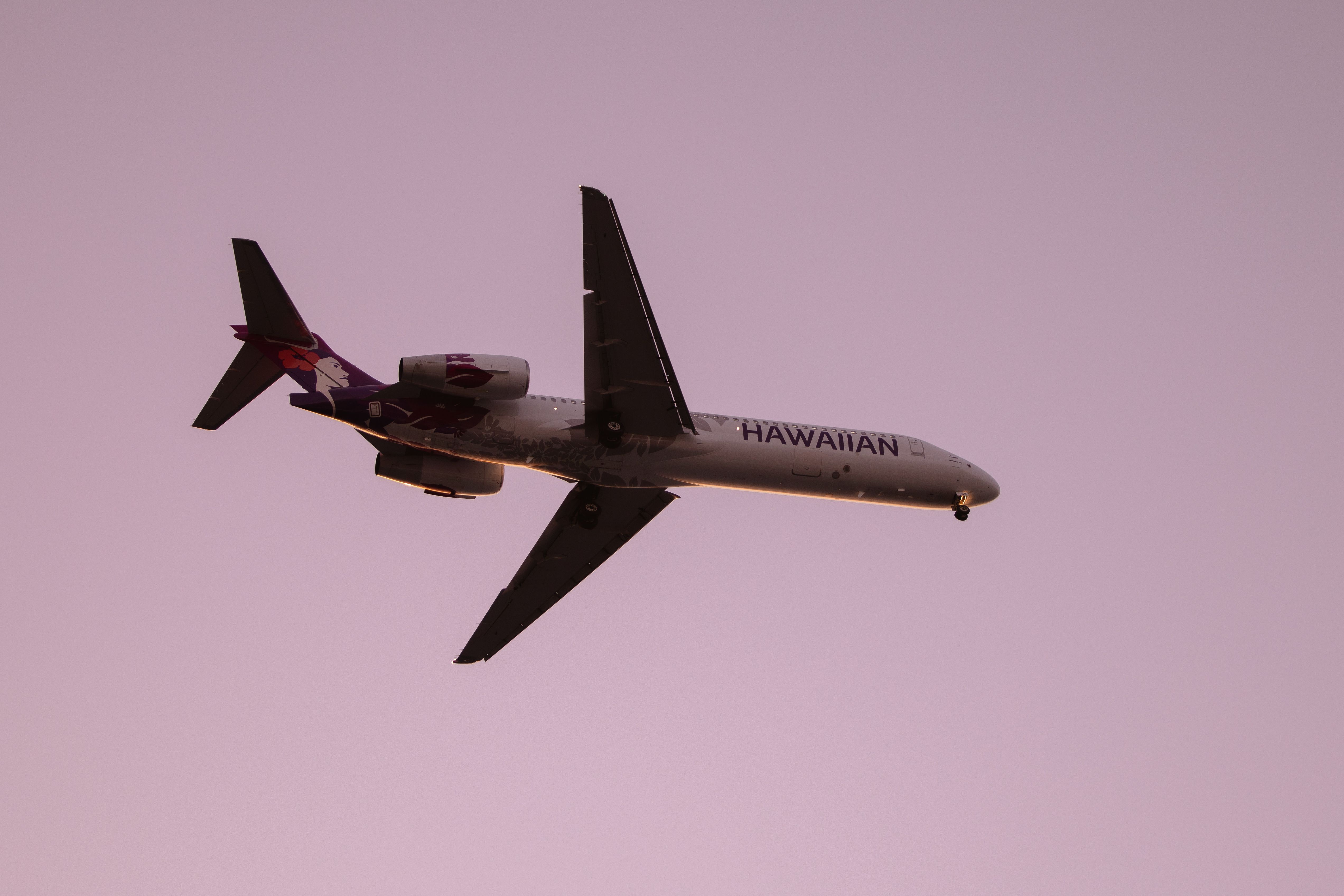 Die besten 717 Gigapixel-Fotos · Kostenlos Downloaden · Pexels Stock-Fotos