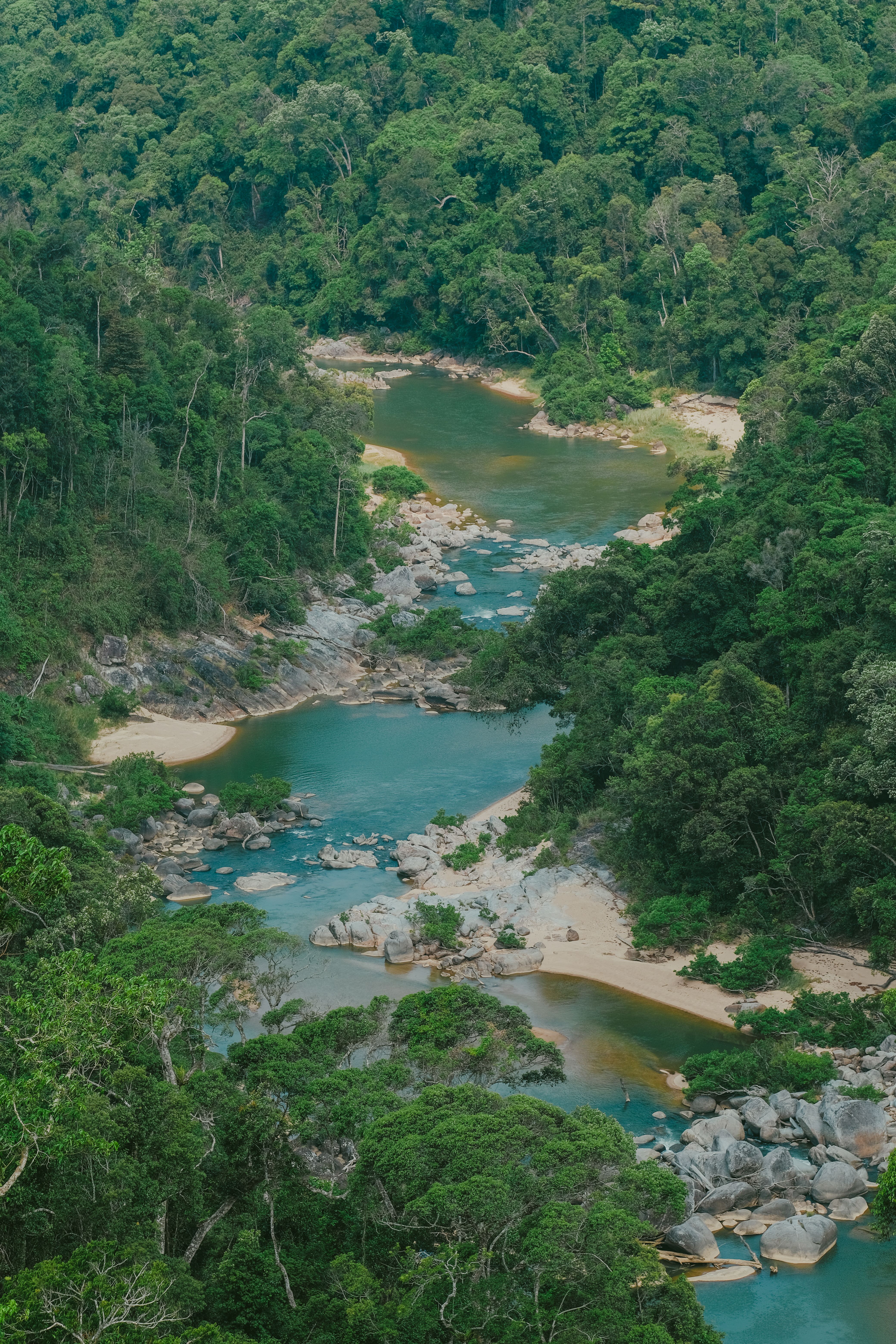 High Angle View of a River and Forest · Free Stock Photo