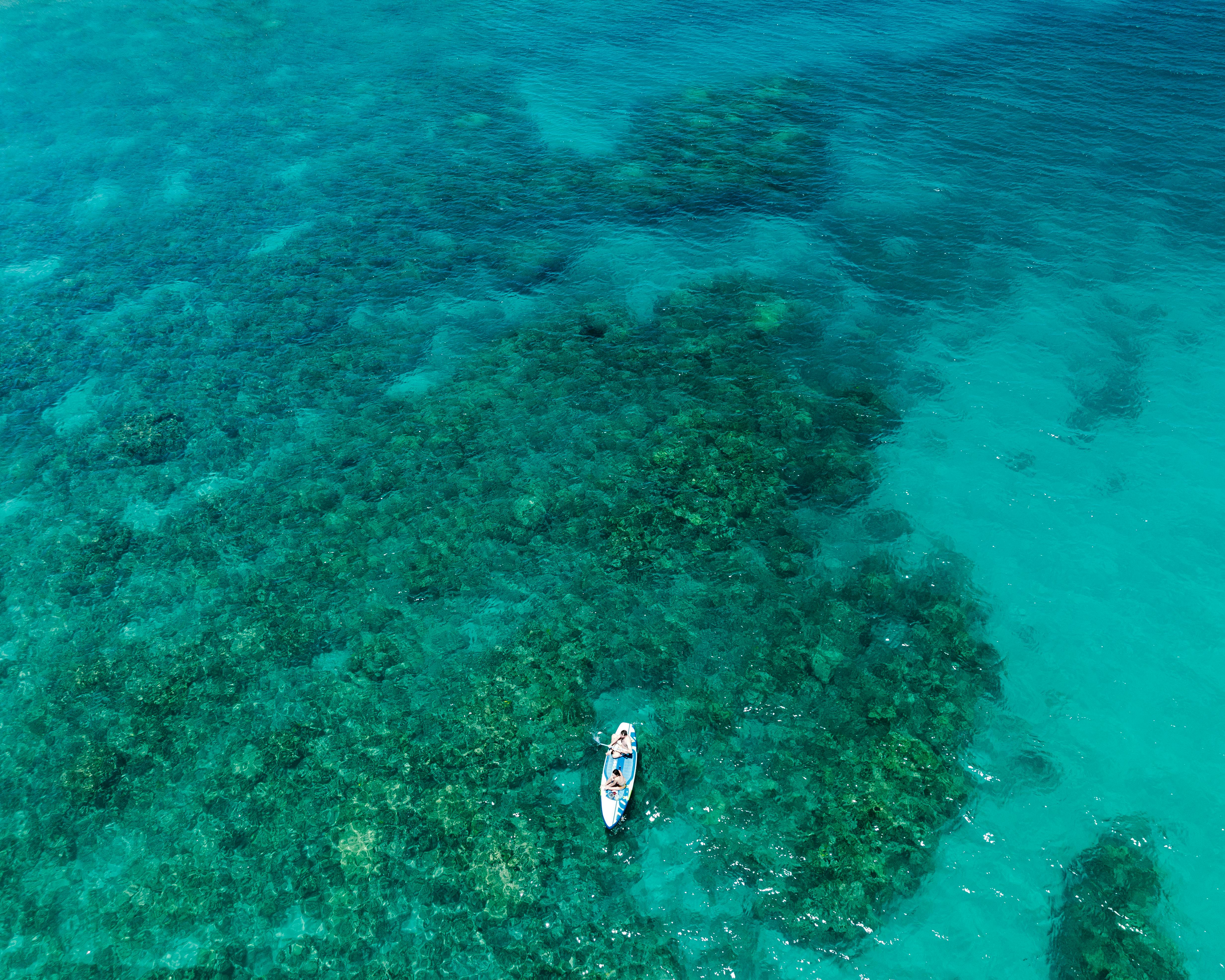 Birds Eye View of a Boat Sailing on the Sea · Free Stock Photo