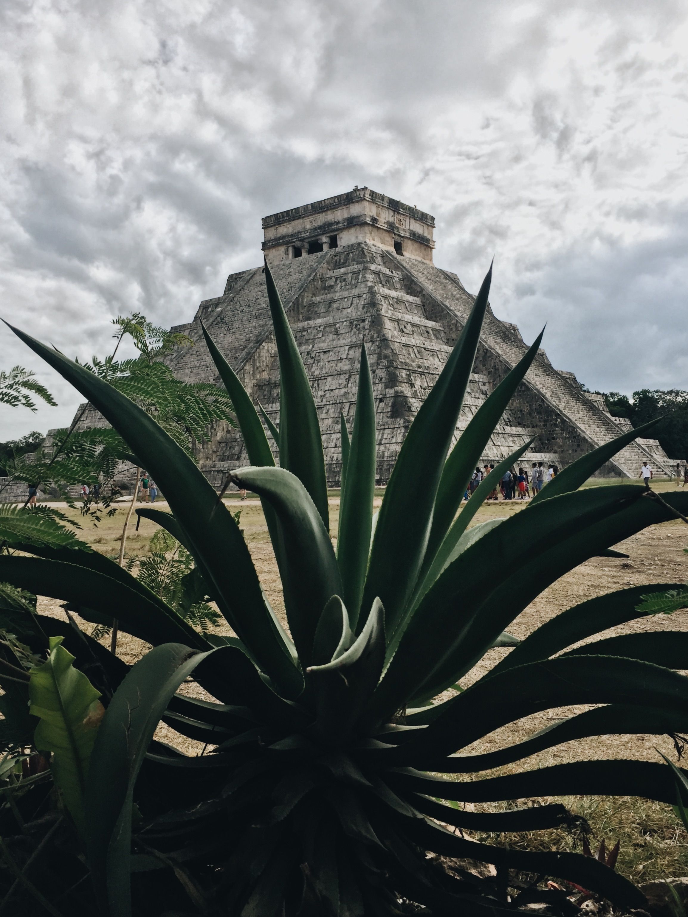 Photo gratuite de agave, archéologie, architecture ancienne, el ...